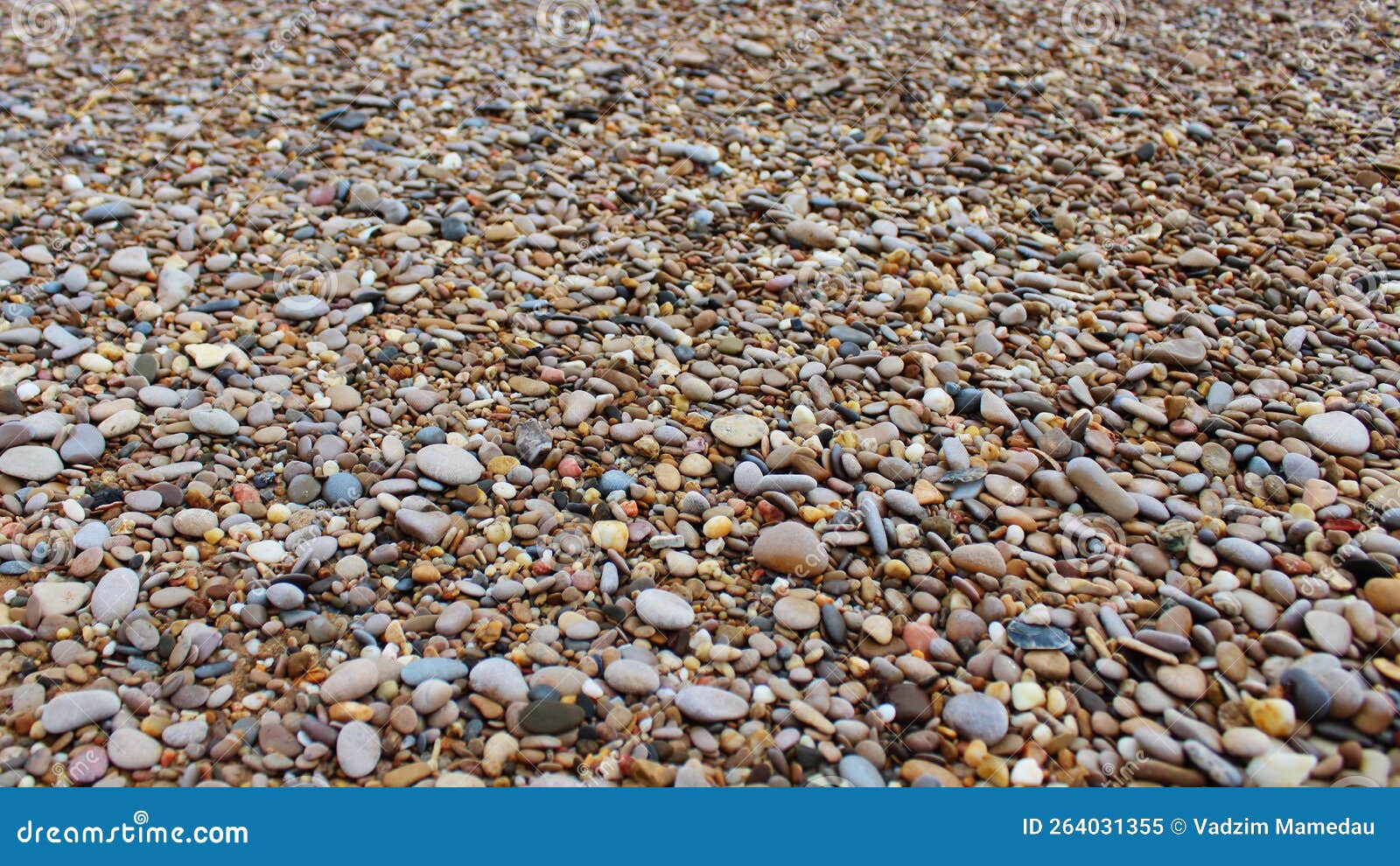 Pebbles on the Beaches of the Sea Stock Image - Image of backdrop ...