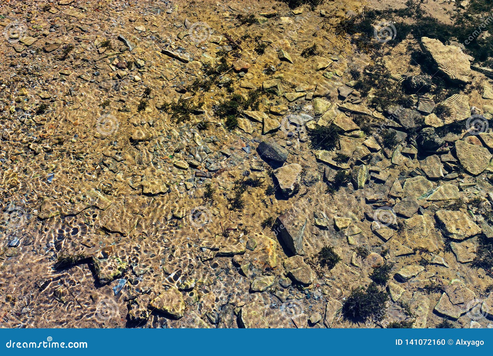 Pebbles at the Bottom of a Clear Stream Stock Photo - Image of ripple ...