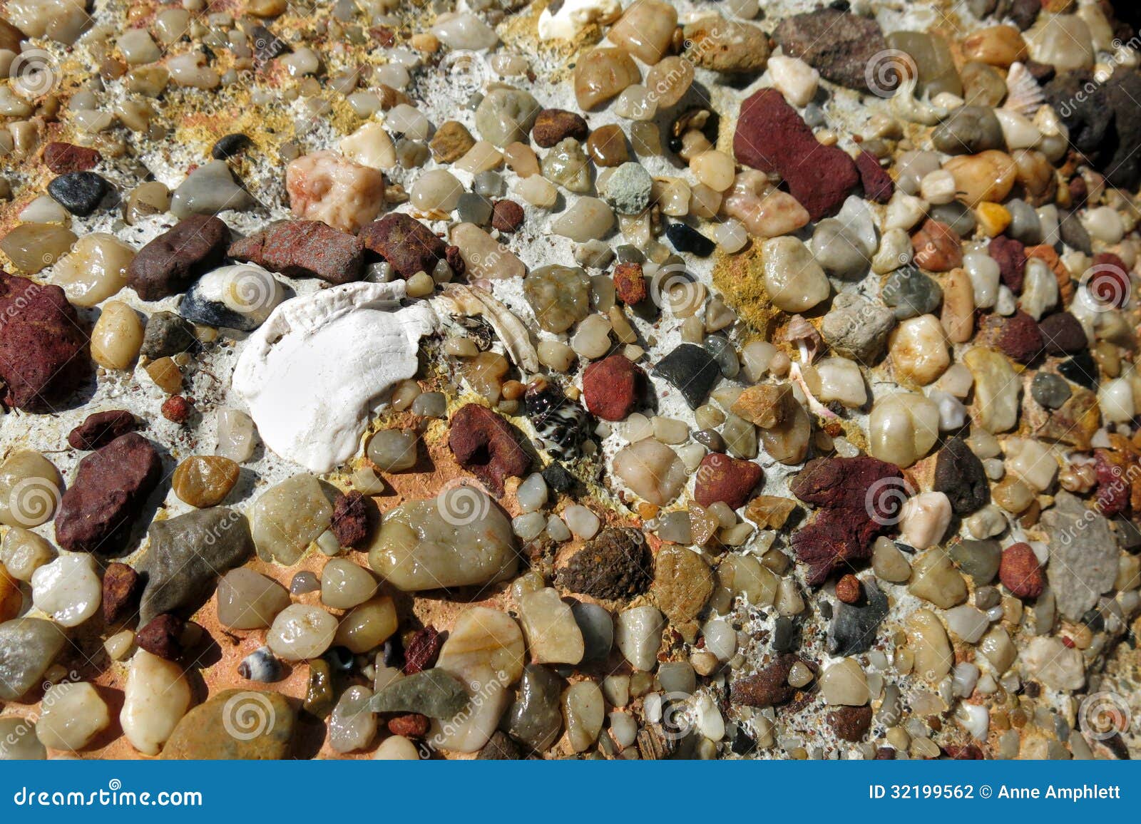 Pebbles in clay on beach stock photo. Image of white - 32199562