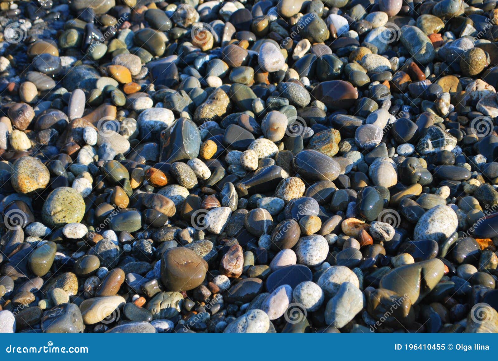 Pebbles close-up. stock image. Image of stones, vacation - 196410455