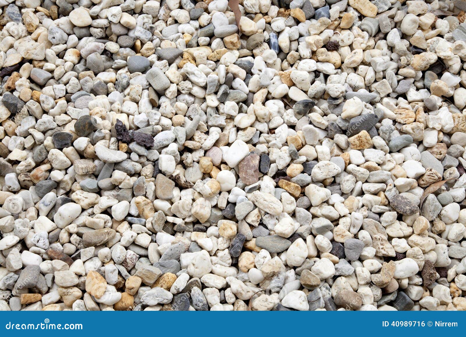 Pebbles stock photo. Image of pebbles, rock, stones, sediment - 40989716