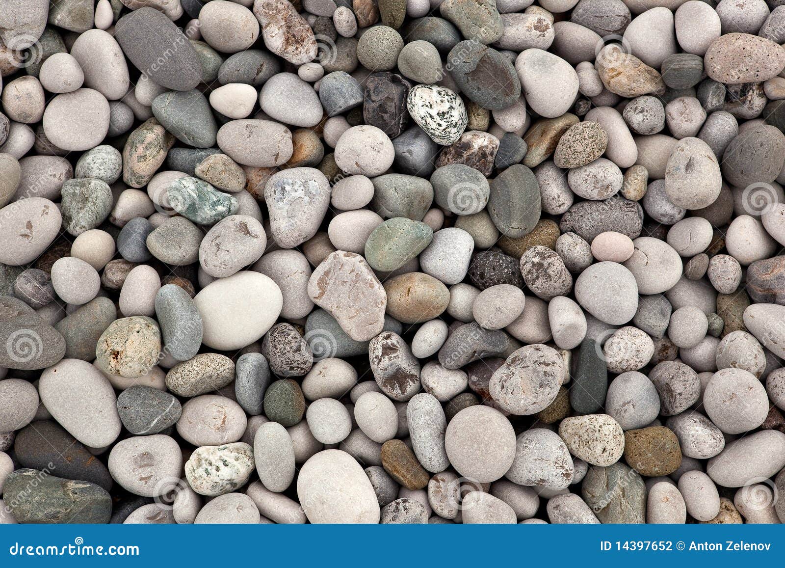 Pebbles closeup stock photo. Image of heap, closeup, pebble - 14397652