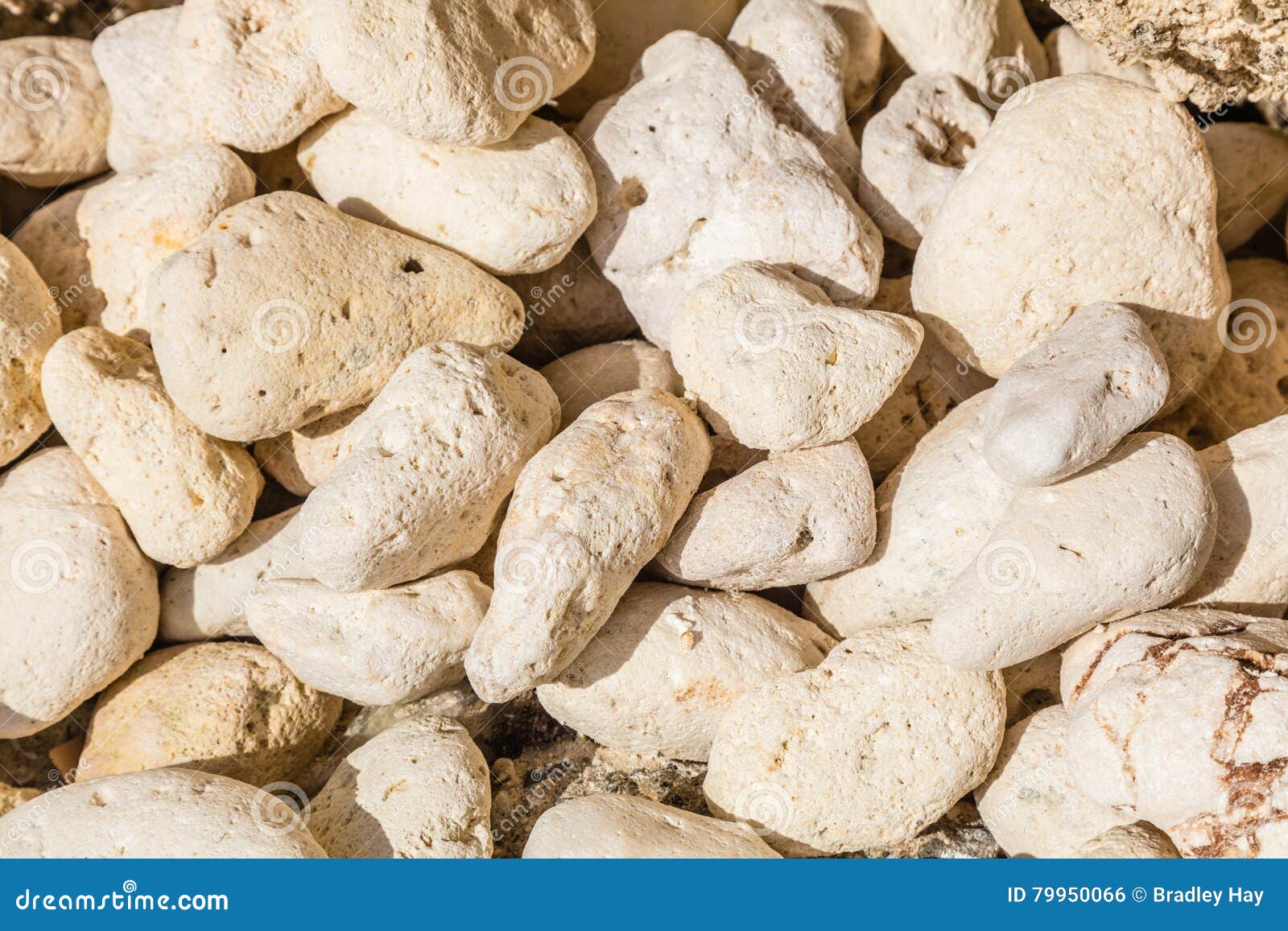 Pebbles and Corals, Boracay Island, Philippines Stock Photo - Image of ...