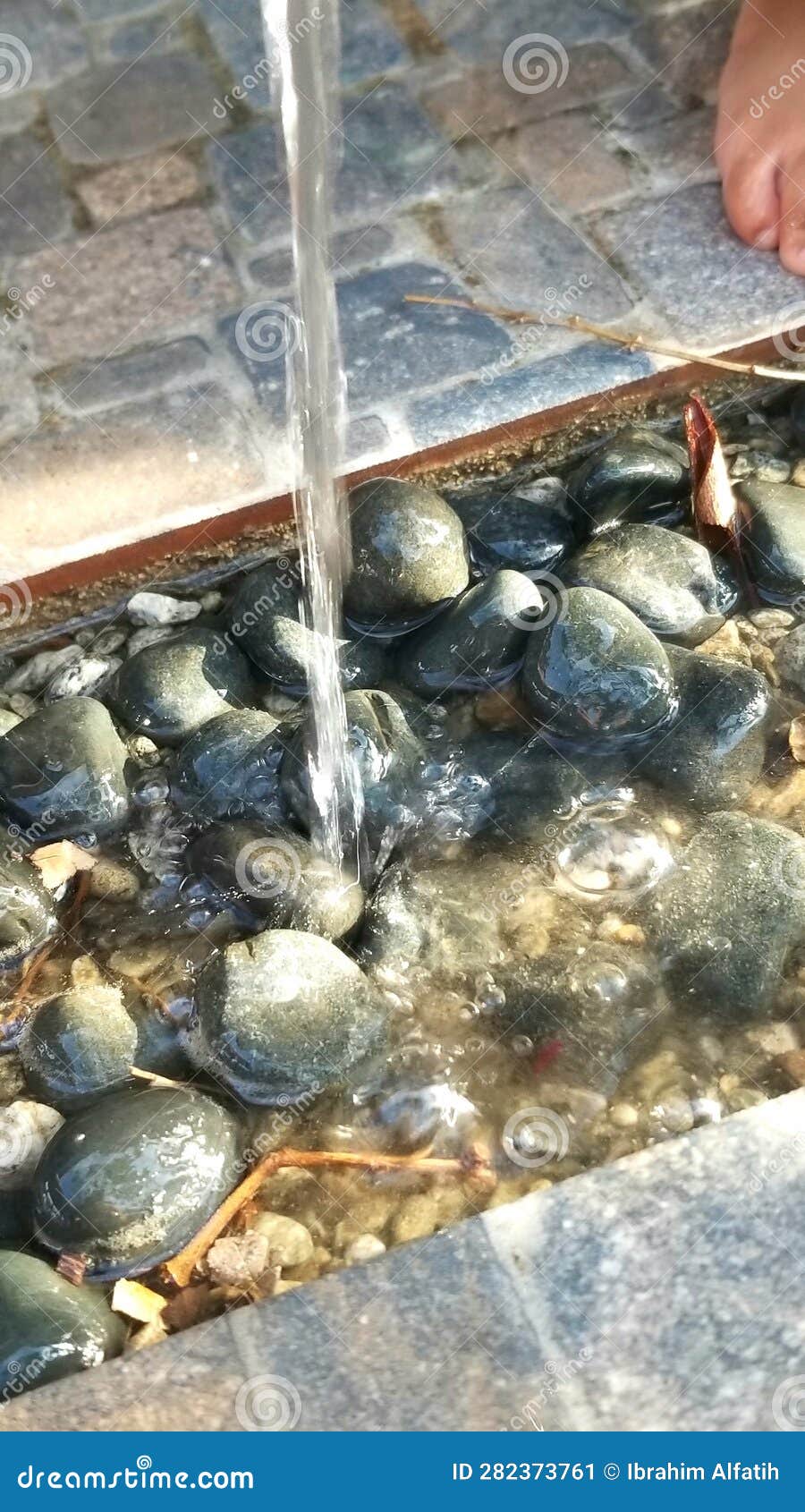 Pebbles doused with water stock image. Image of fish - 282373761