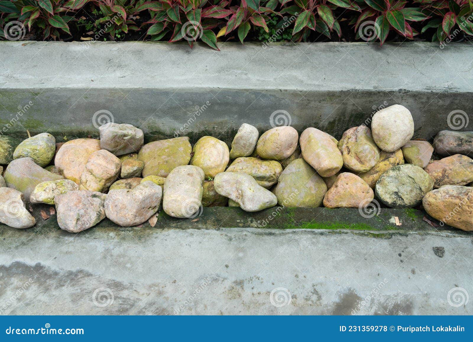 Pebbles in the Drainage Gutter Stock Photo - Image of house, park ...
