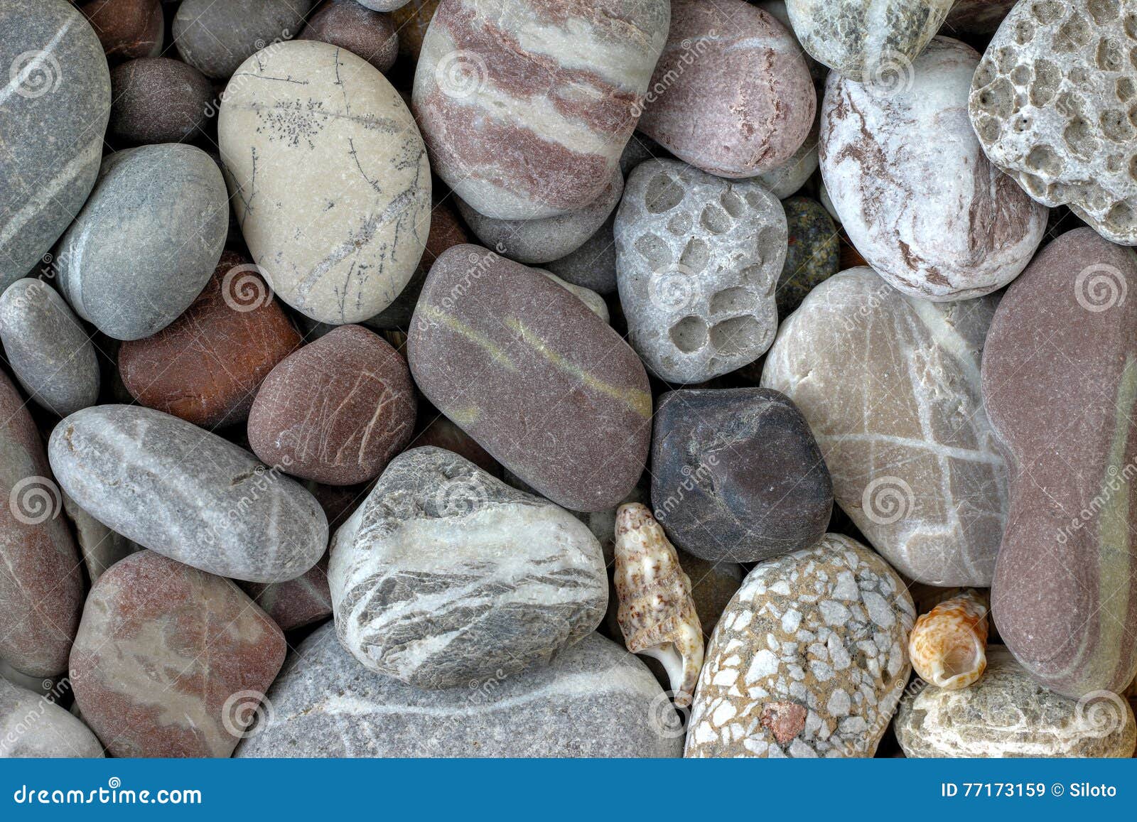 Pebbles in Earth Colors - Stone Pattern Stock Image - Image of design ...