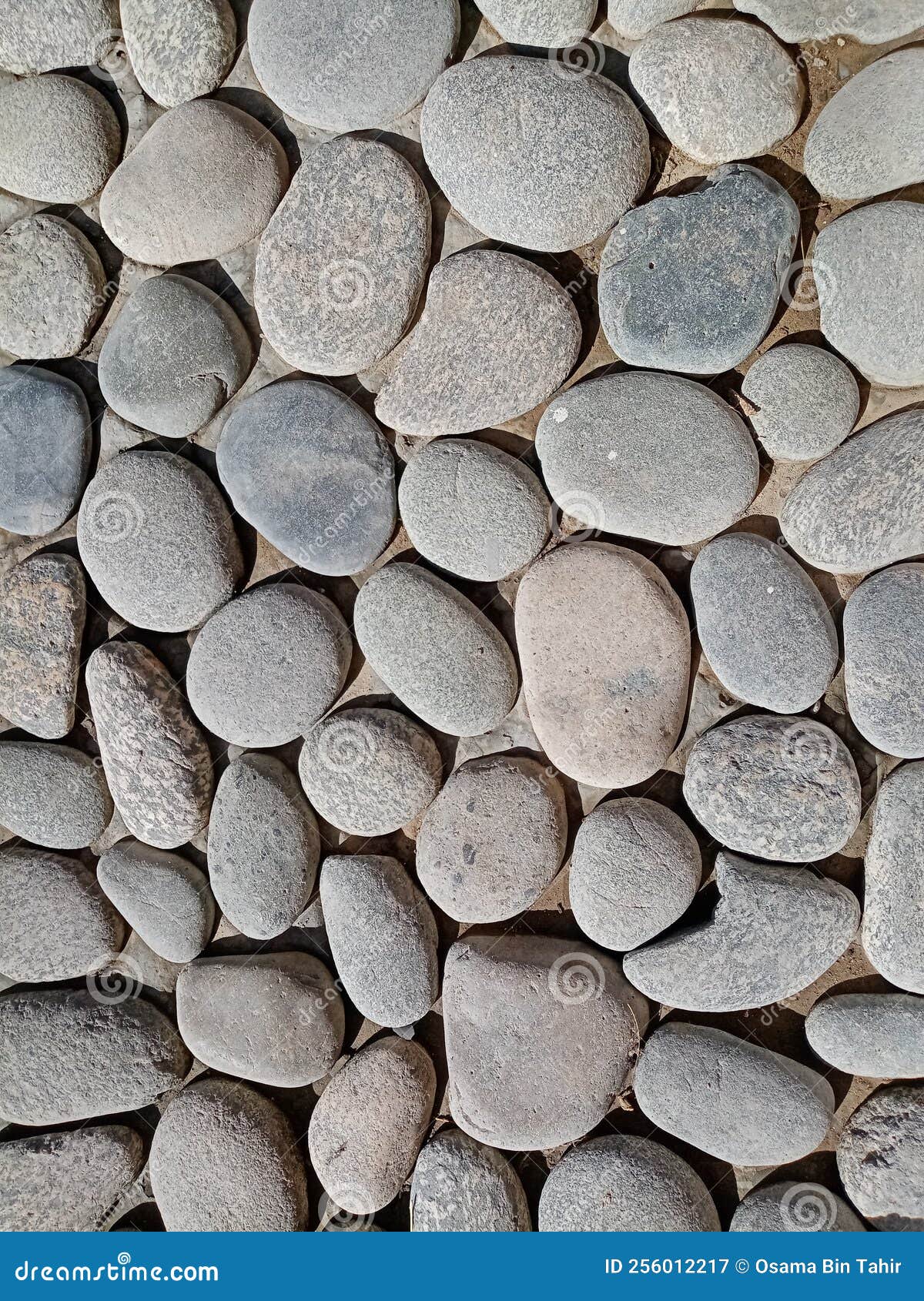 Closeup of Pebbles Texture Background Stock Image - Image of plant ...