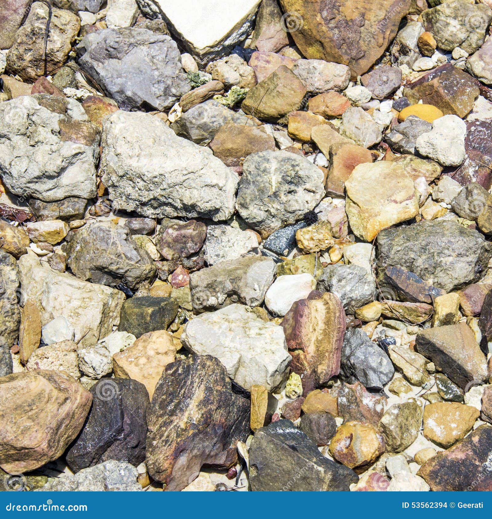 Pebbles on the ground stock photo. Image of nature, background - 53562394