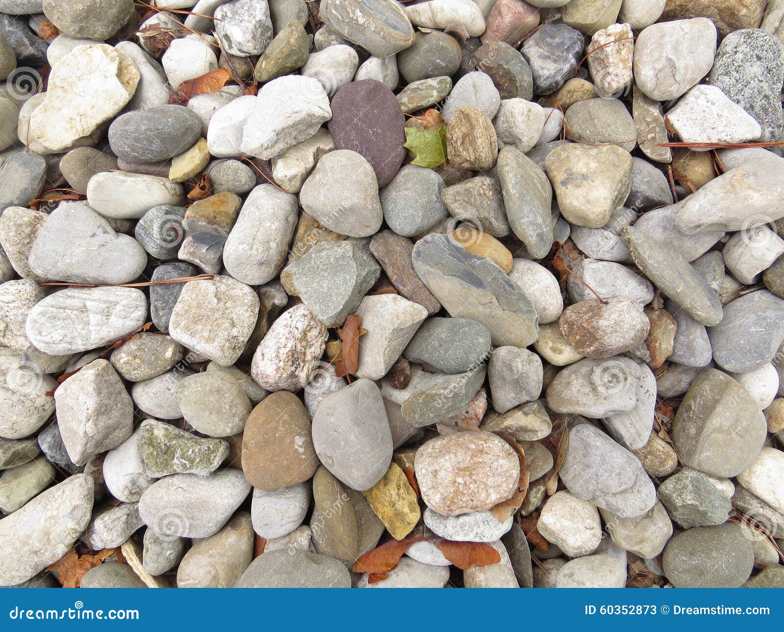 Pebbles on the Ground stock image. Image of minerals - 60352873