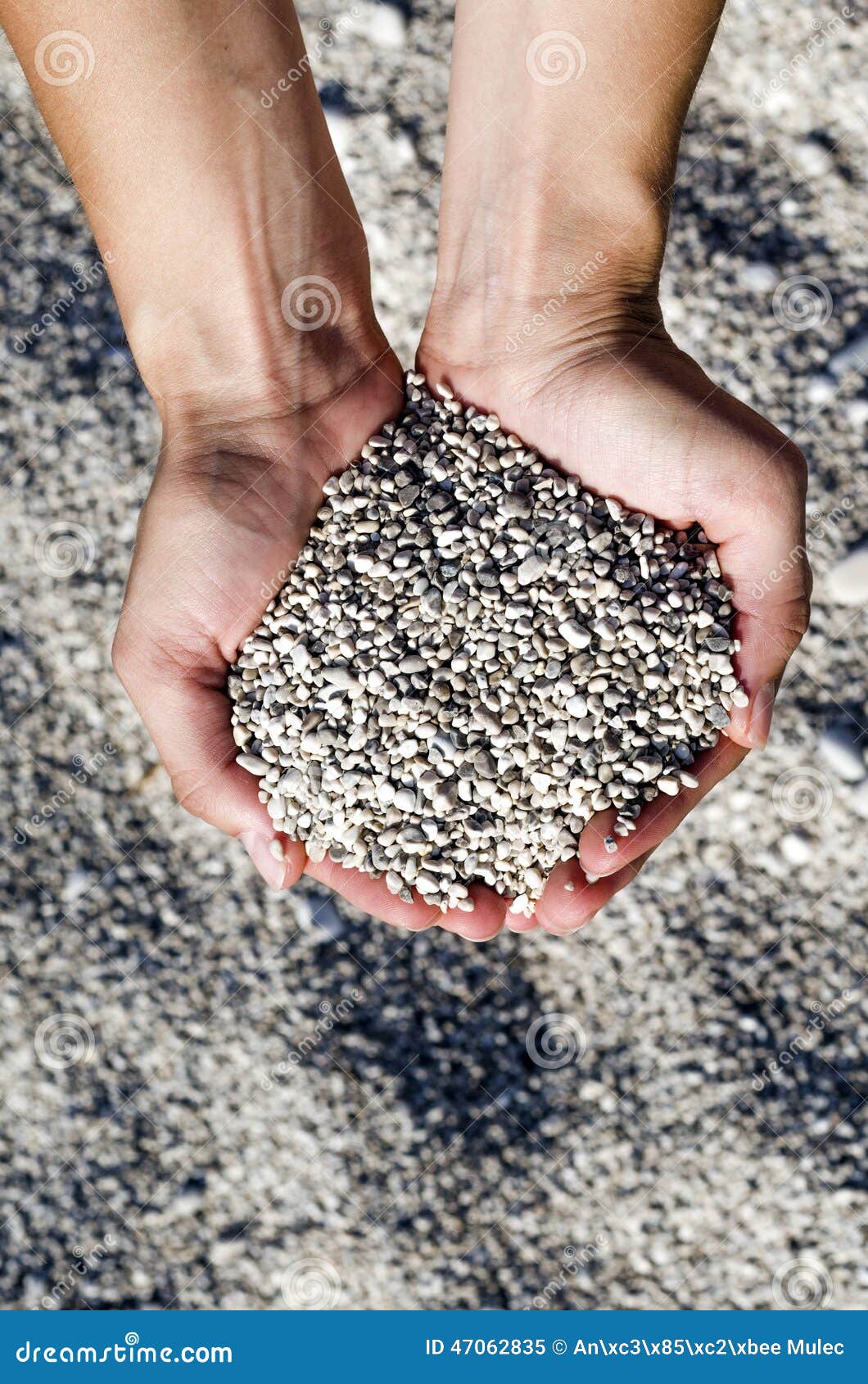 Pebbles in hands stock image. Image of balance, environment - 47062835