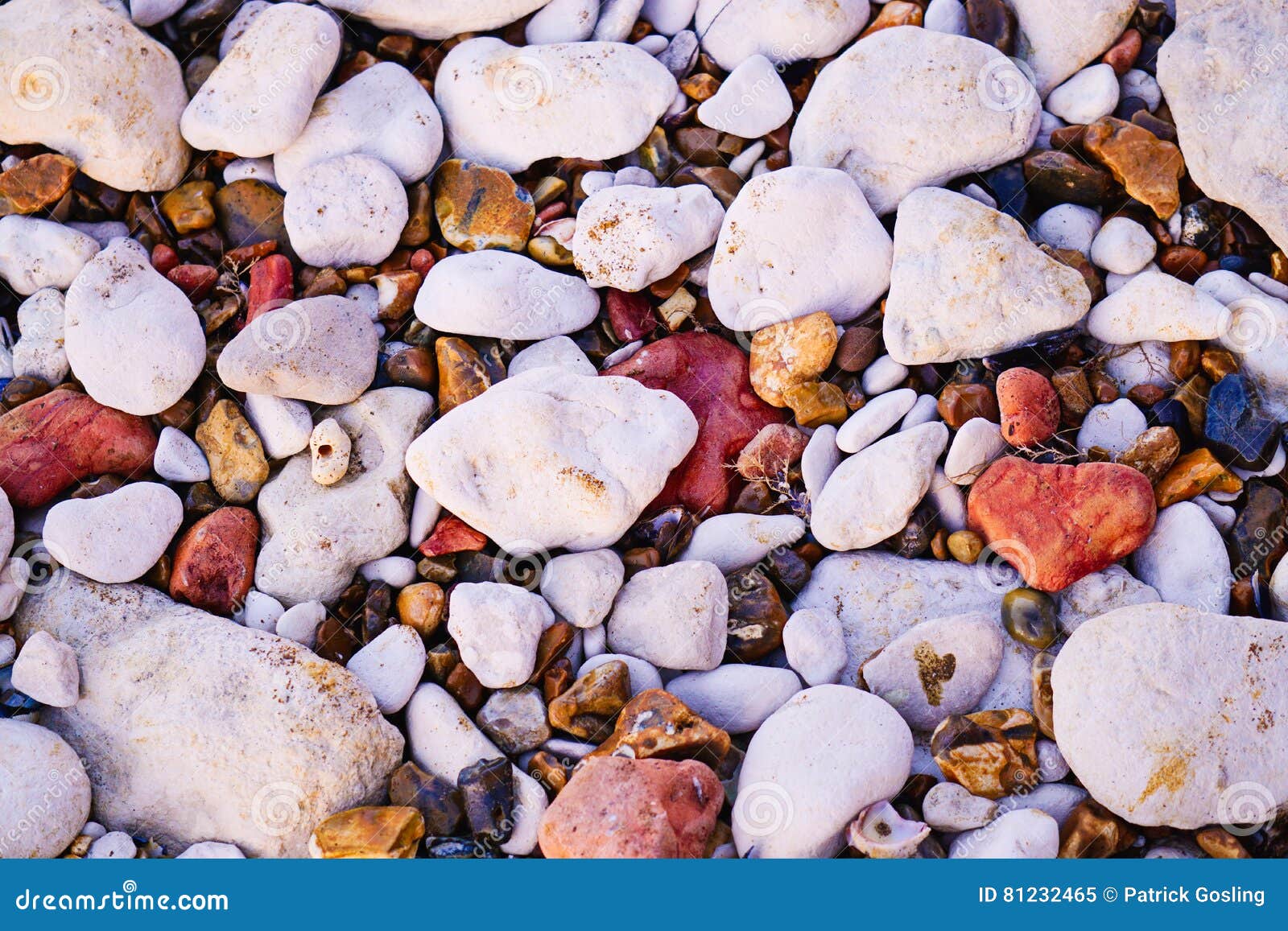 Beach Pebbles stock image. Image of shingle, rocks, stone - 81232465