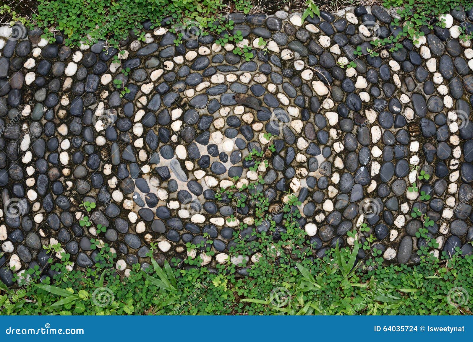 Pebbles Mosaic Floor with Spiral Pattern and Plant Stock Photo - Image ...
