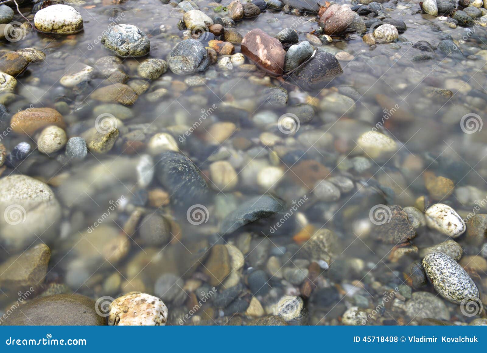 Pebbles in the Mountain River Stock Photo - Image of nature, timber ...