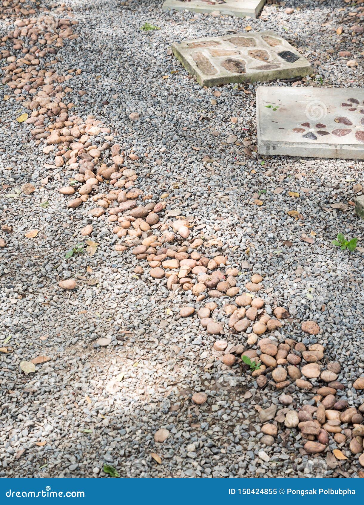 Pebbles Path Along the Stone Walkway Stock Image - Image of beautiful ...