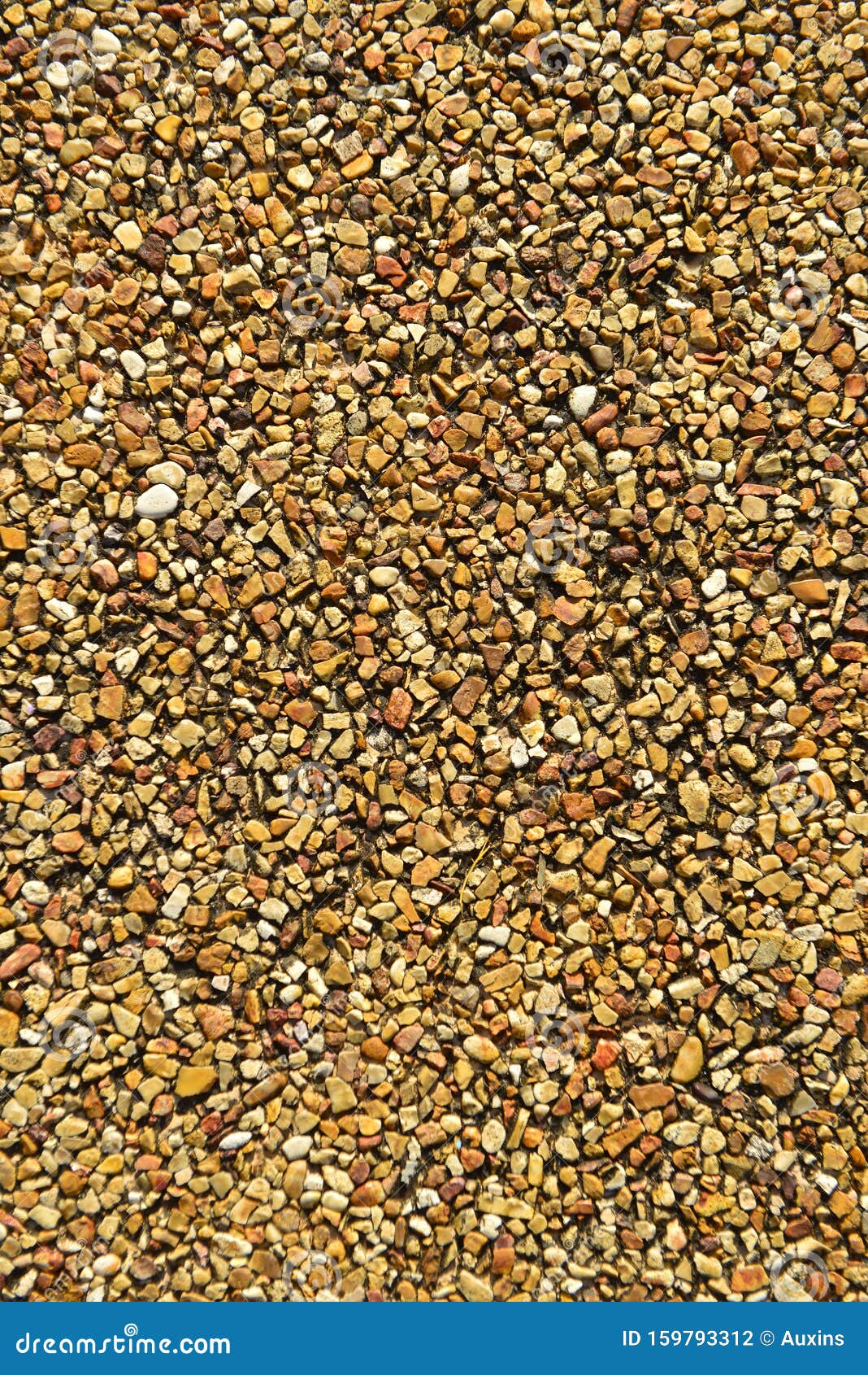 Pebbles Pathway Pattern in Concrete, Background of Floor Tiles Stock ...