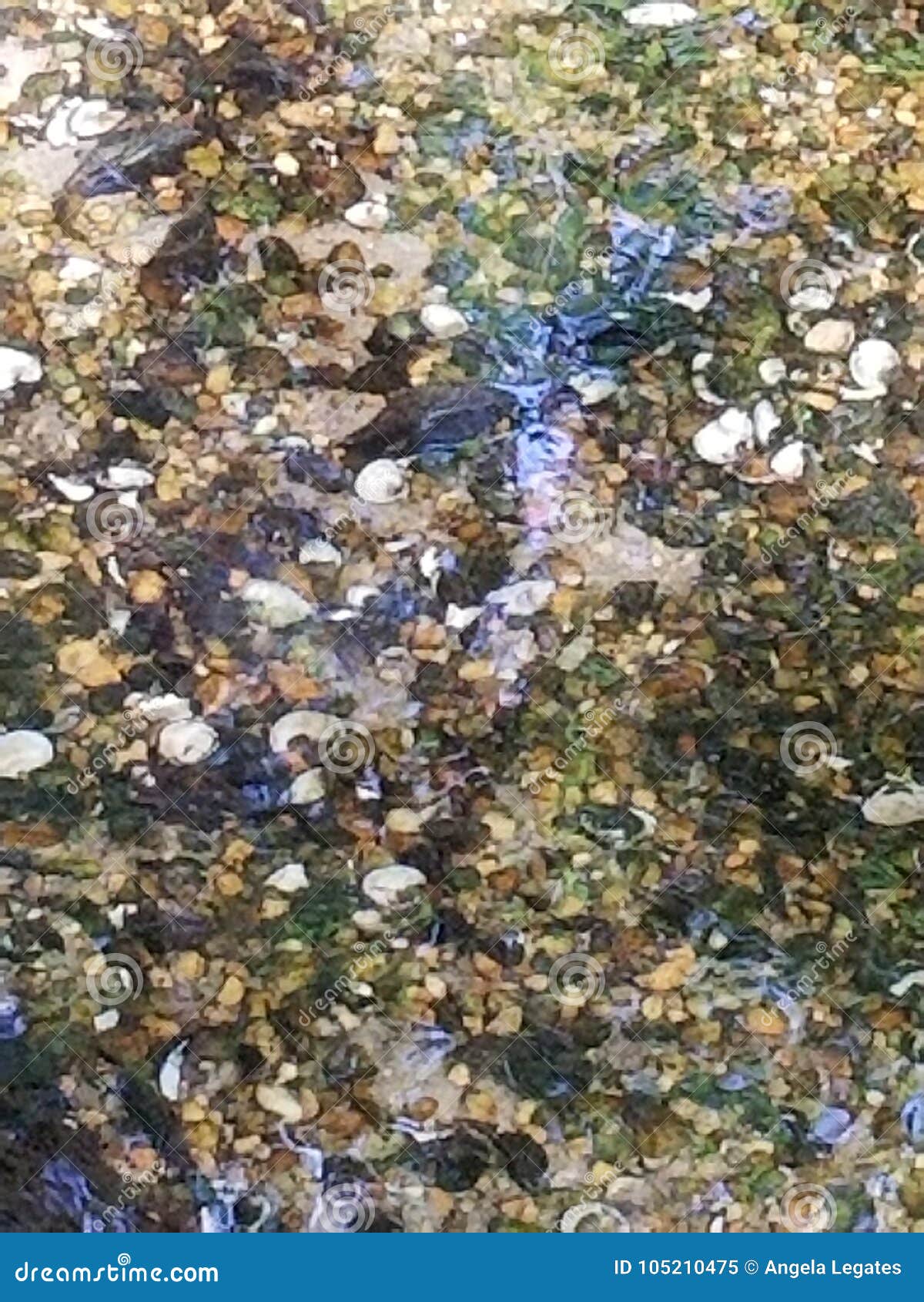 Nature stock image. Image of peace, pebbles, nature - 105210475