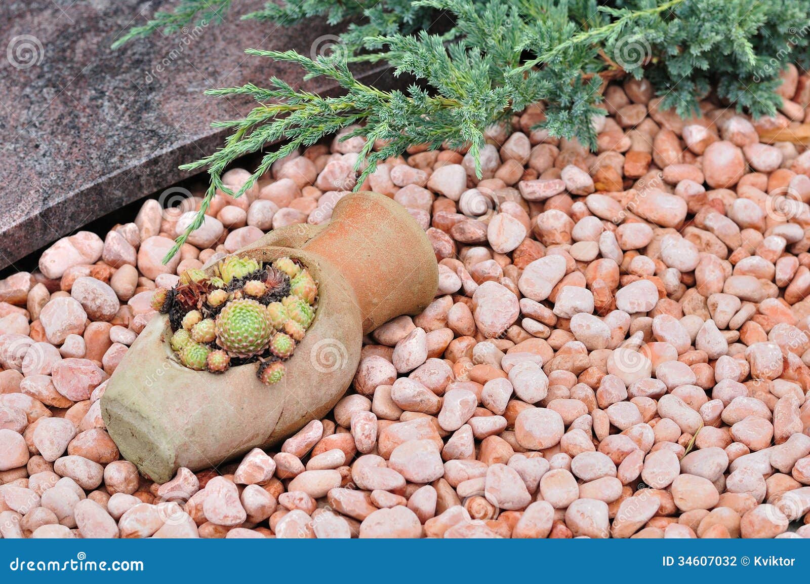 Pebbles and Plants in Rockery Stock Photo - Image of flower ...
