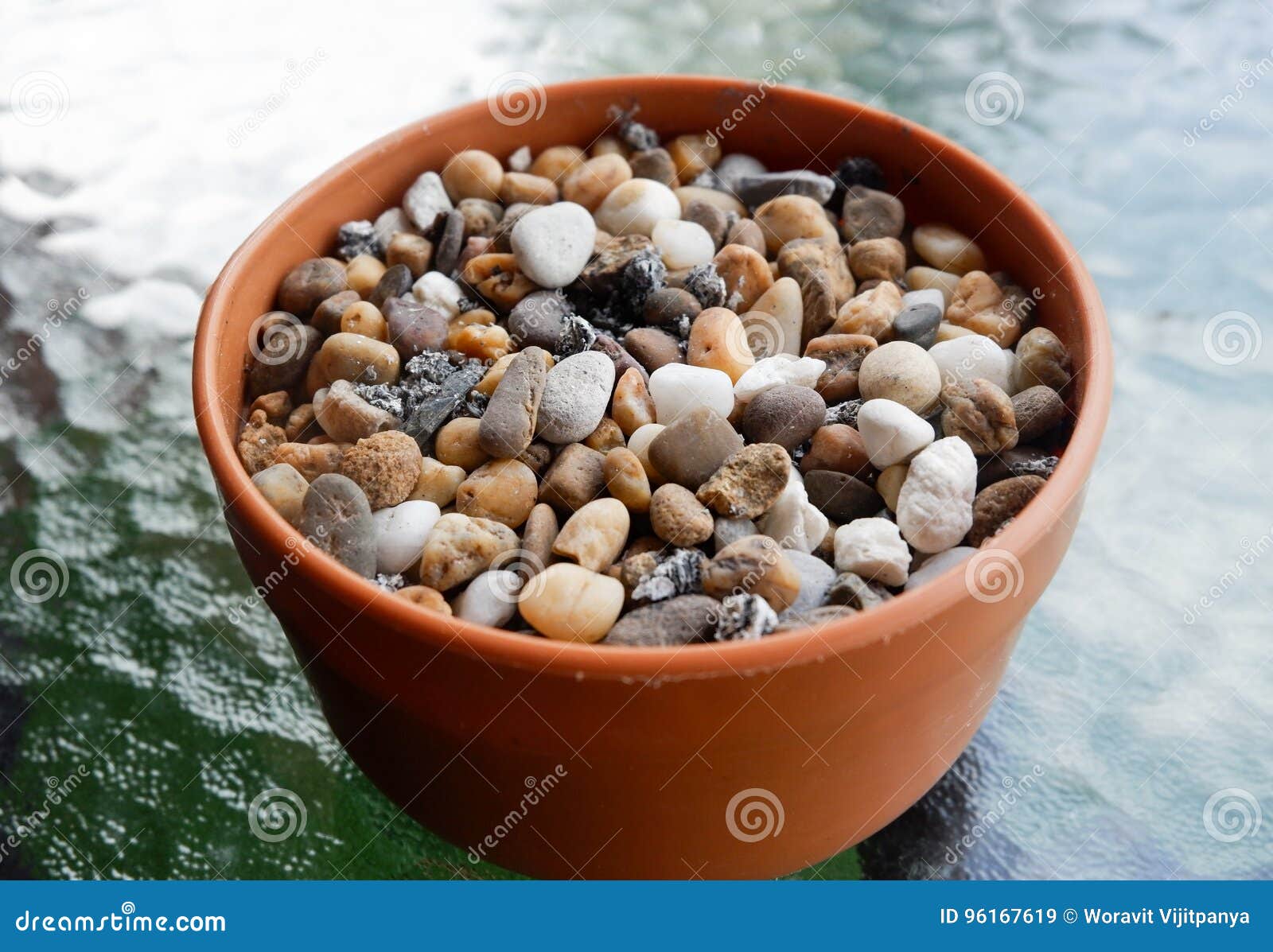 Pebbles in pot stock image. Image of stone, succulent - 96167619