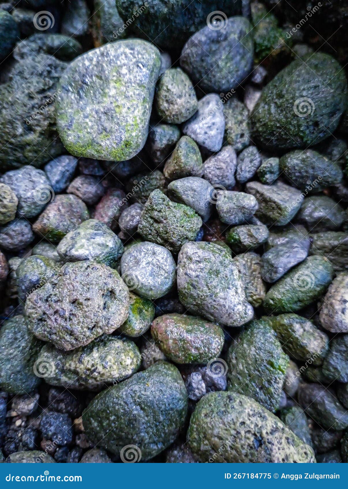 Pebbles after rain stock image. Image of rock, pebbles - 267184775