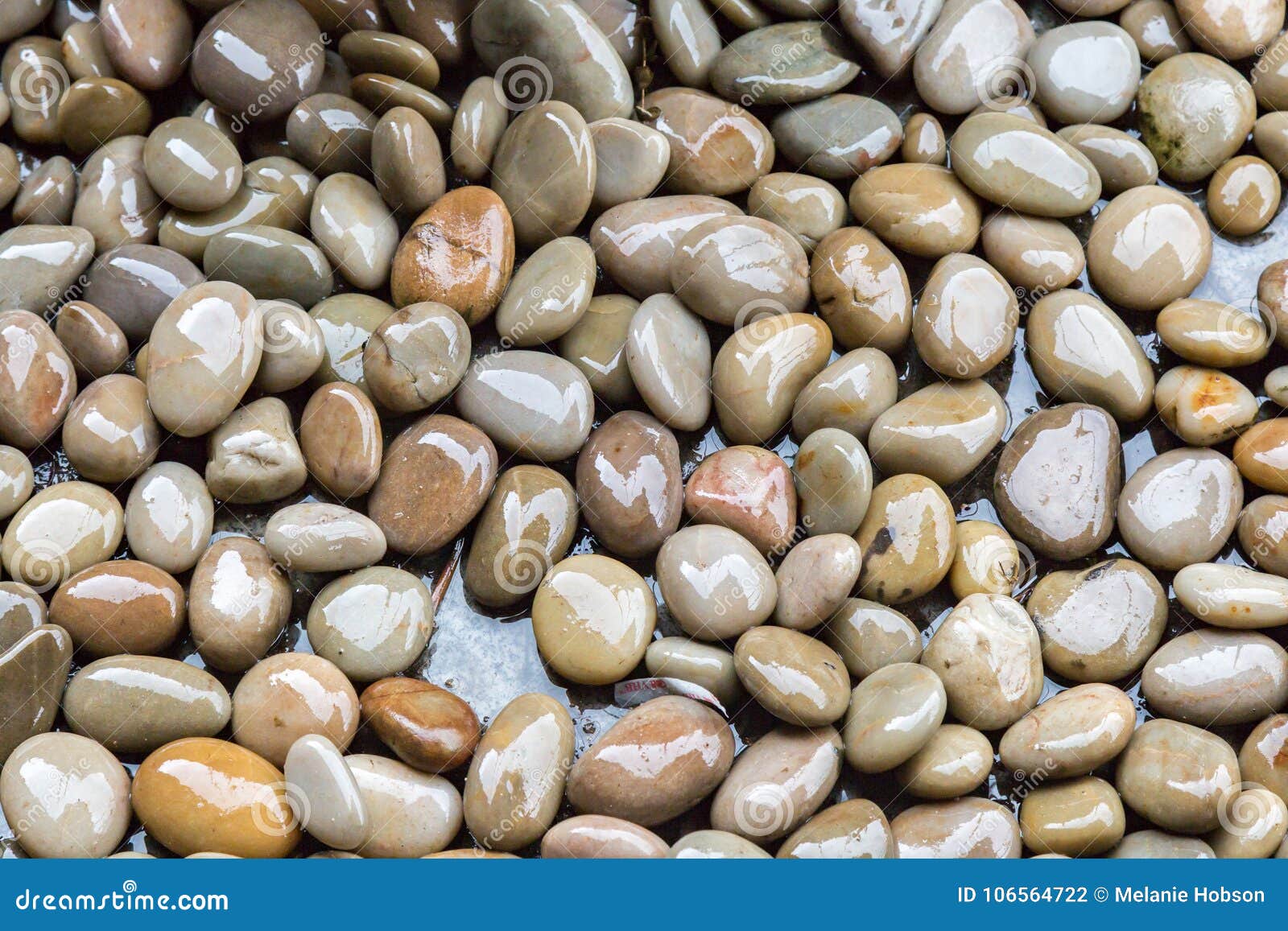 Pebbles and Rain Water stock photo. Image of pebbles - 106564722