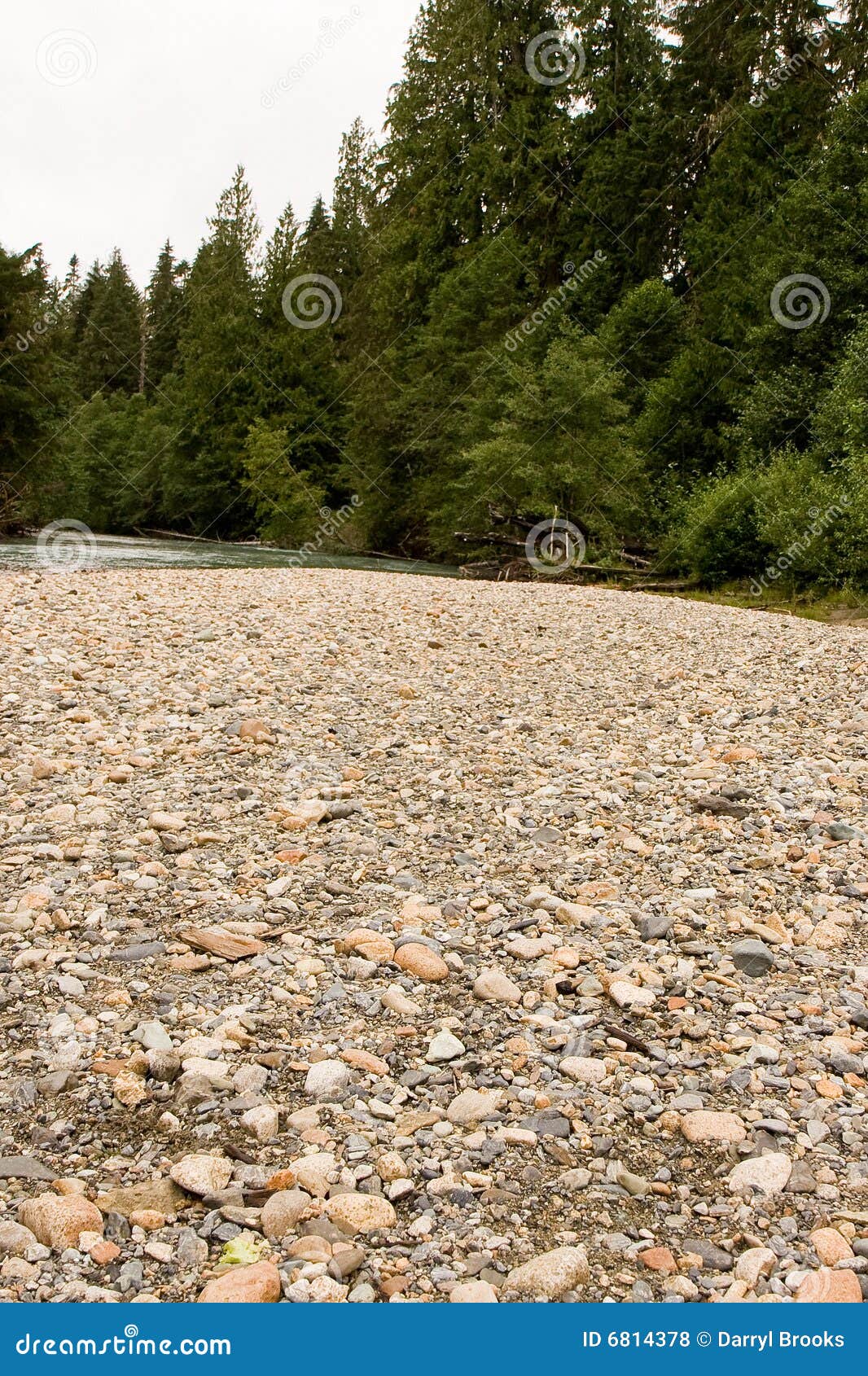 Pebbles on River Bank stock photo. Image of pristine, nature - 6814378