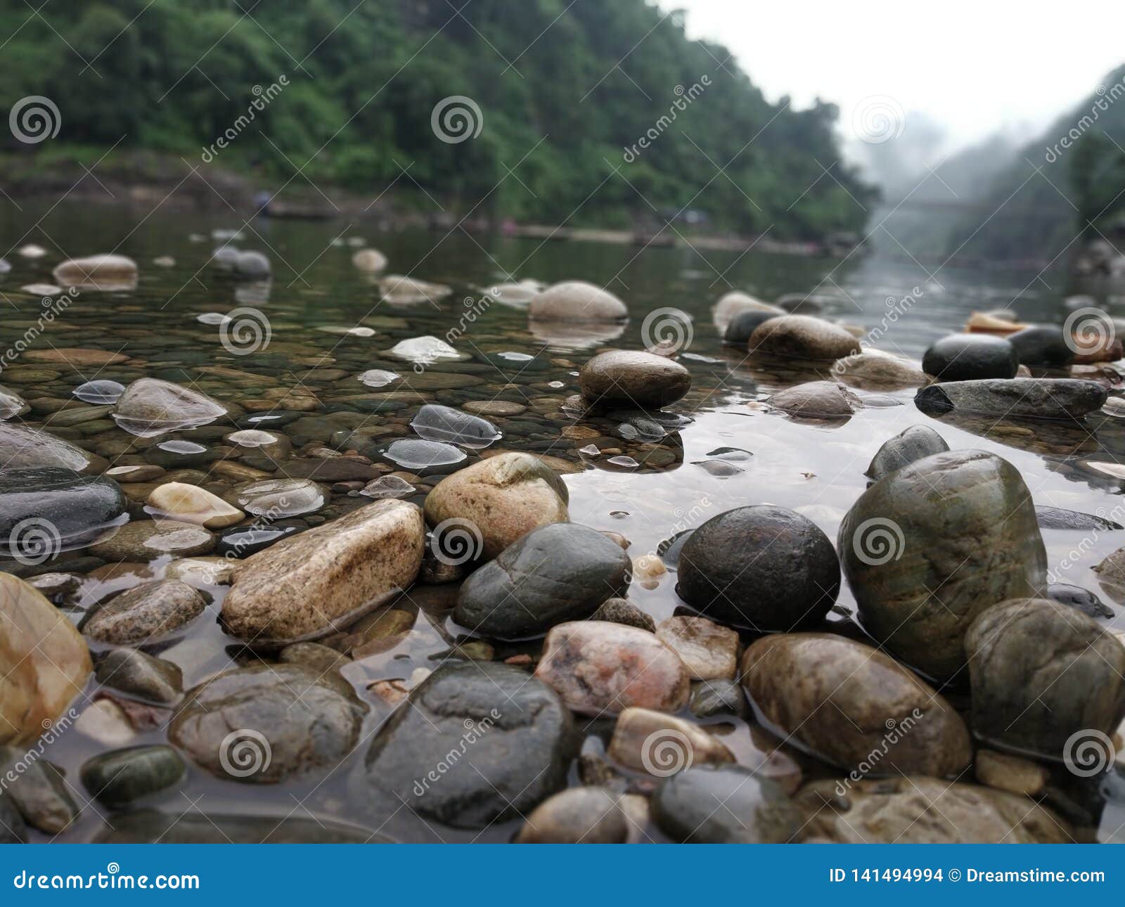 Pebbles in the river stock photo. Image of crystal, pebbles - 141494994