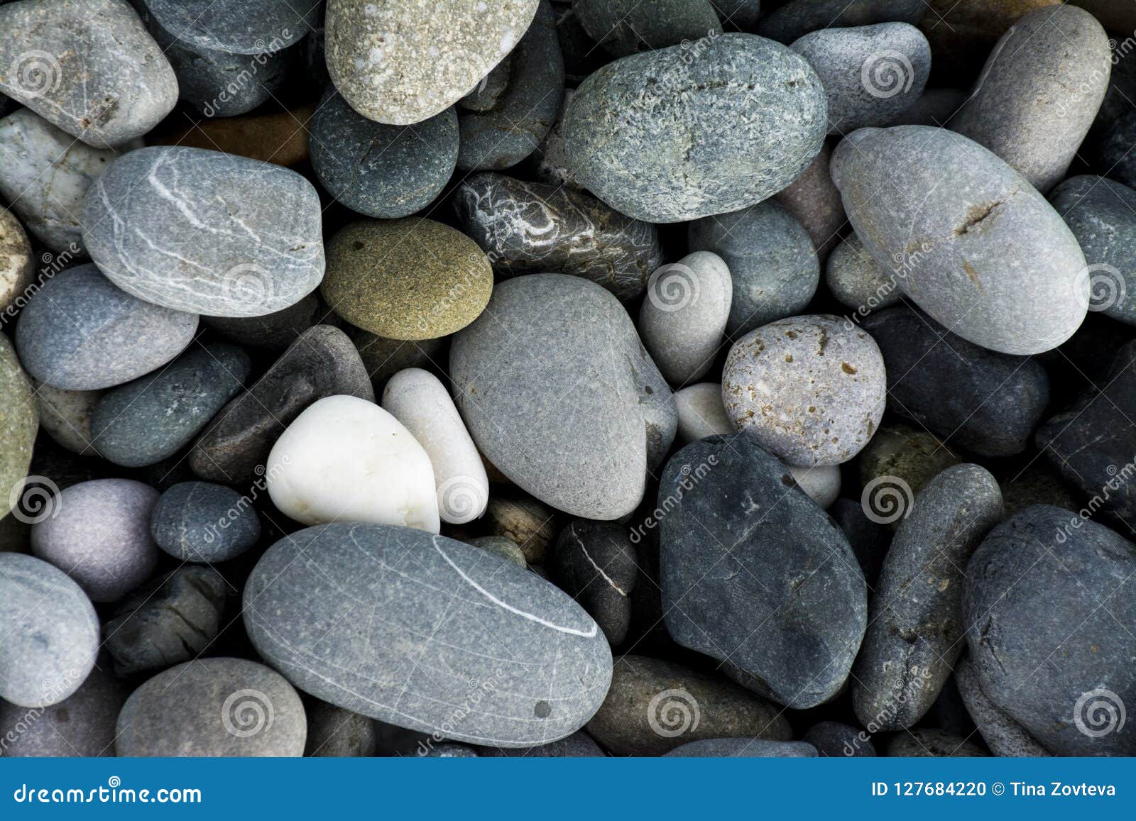 The Pebbles Rocks on the Beach Stock Photo - Image of life, holiday ...