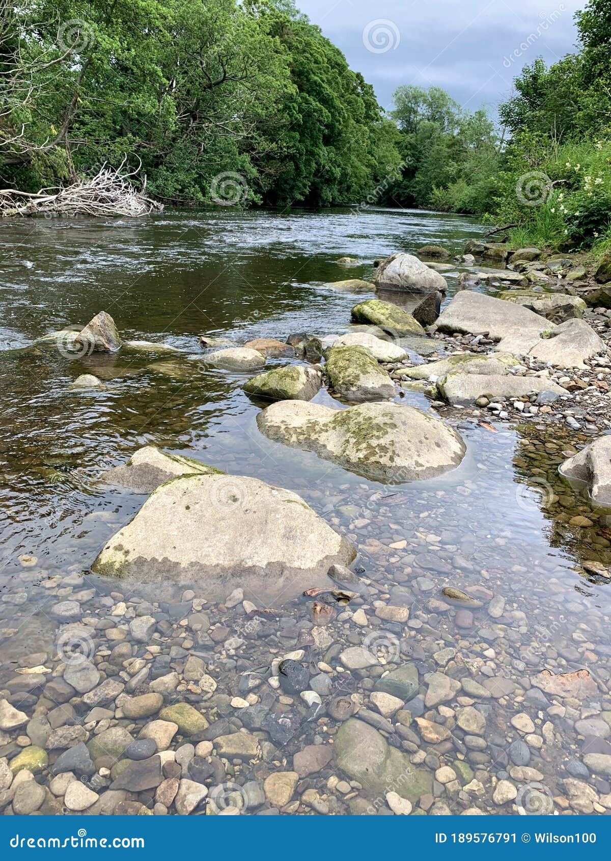 Pebbles, Rocks, Seaweed On The Sea Floor Through Clear Water In Shallow ...