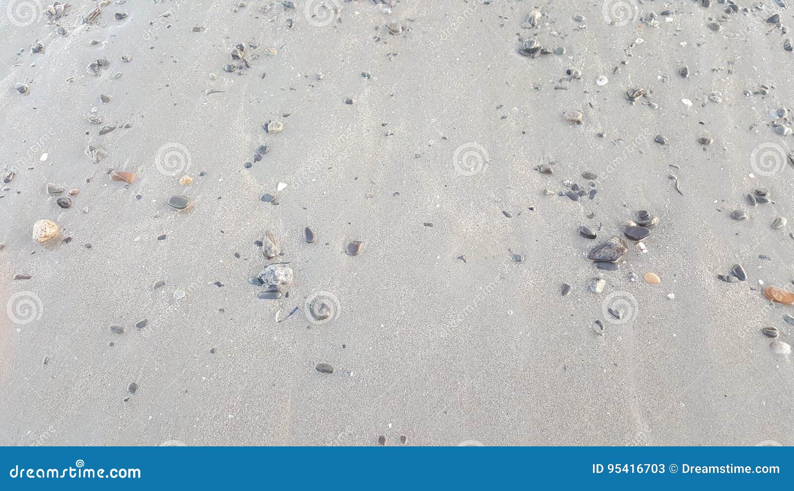 Pebbles in the sand stock image. Image of shore, pebbles - 95416703