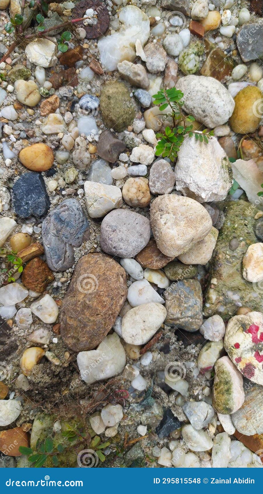 Pebbles On The Wet Sand Royalty-Free Stock Photography | CartoonDealer ...