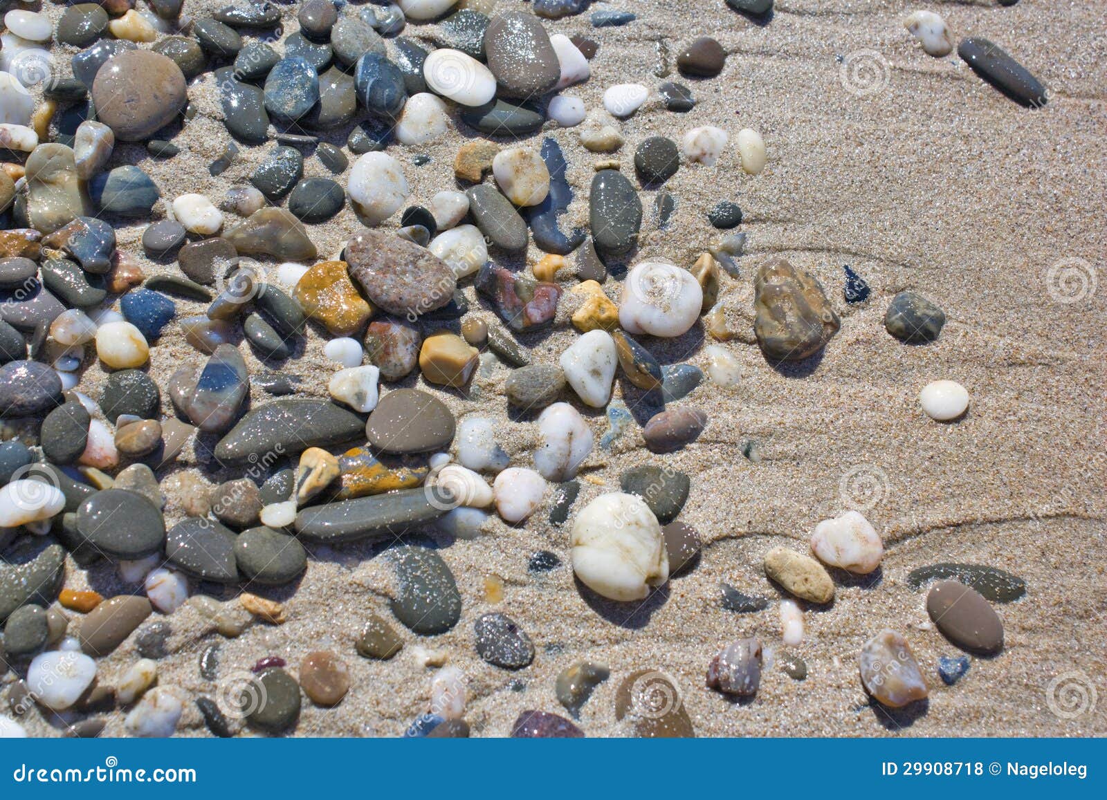 Pebbles in the sand stock photo. Image of nature, sand - 29908718
