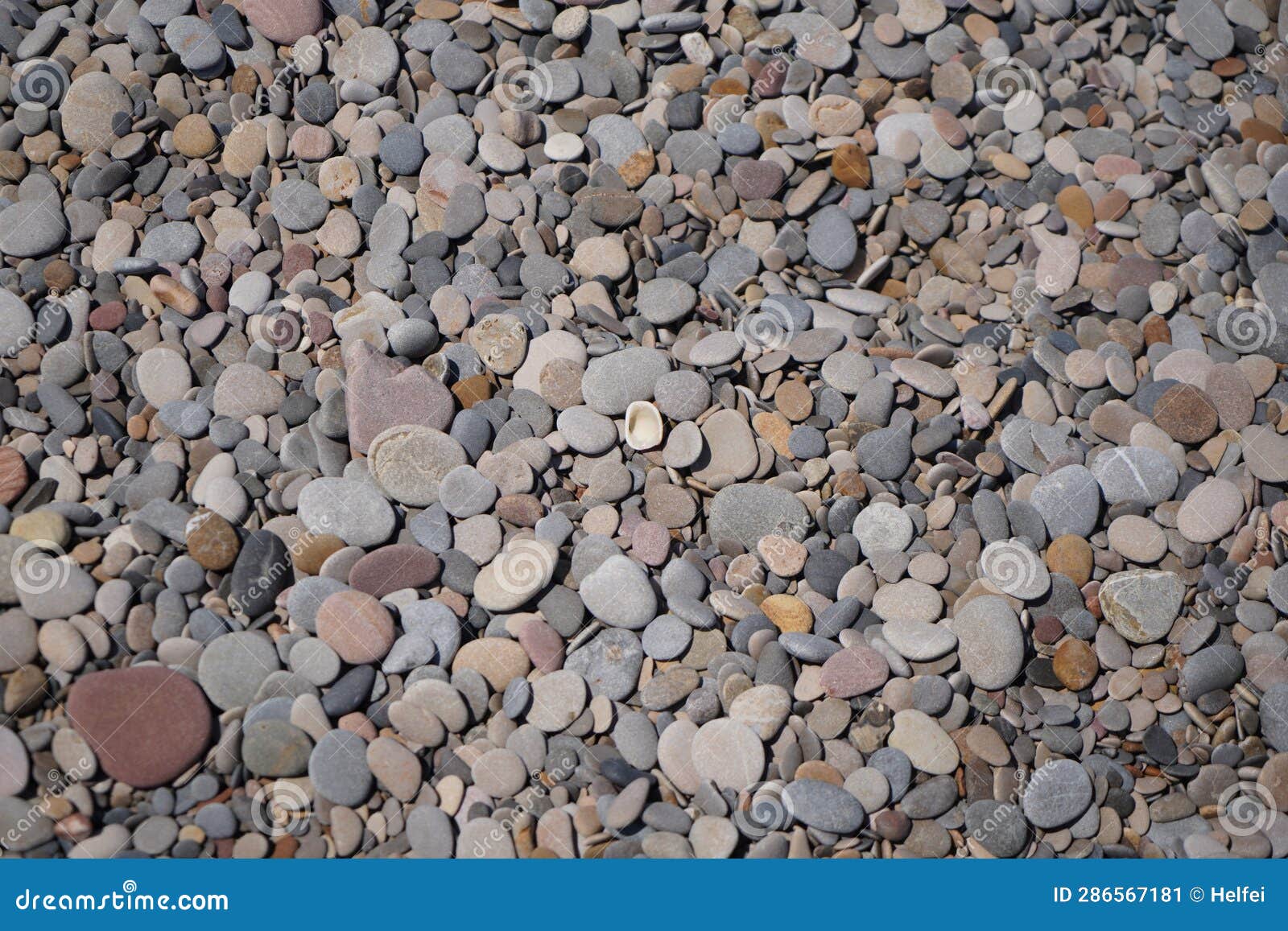 Pebbles on Sea Beach Washed Round Stock Image - Image of closeup, flat ...