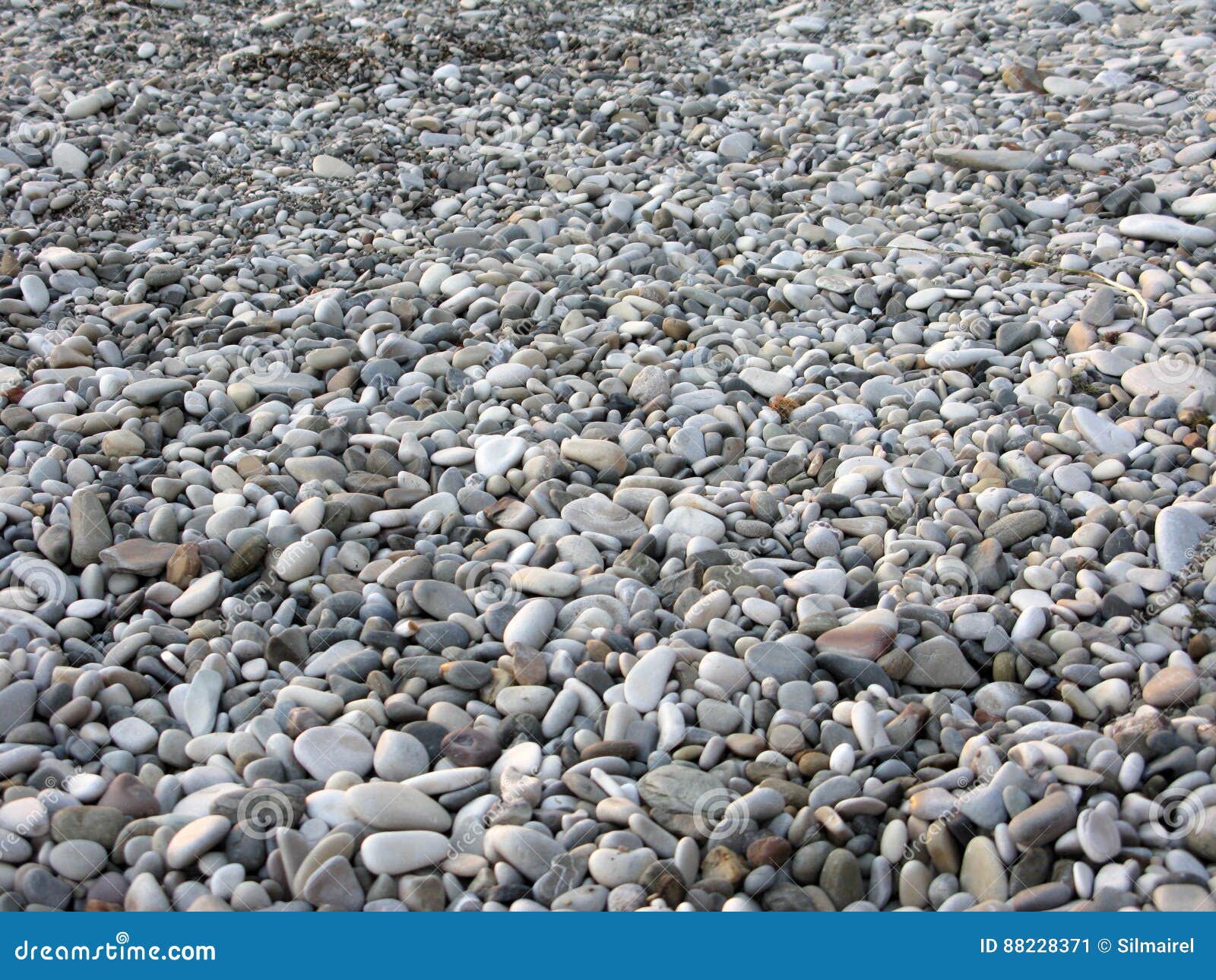 Pebbles on the Sea Shore Background Photo Stock Image - Image of hard ...