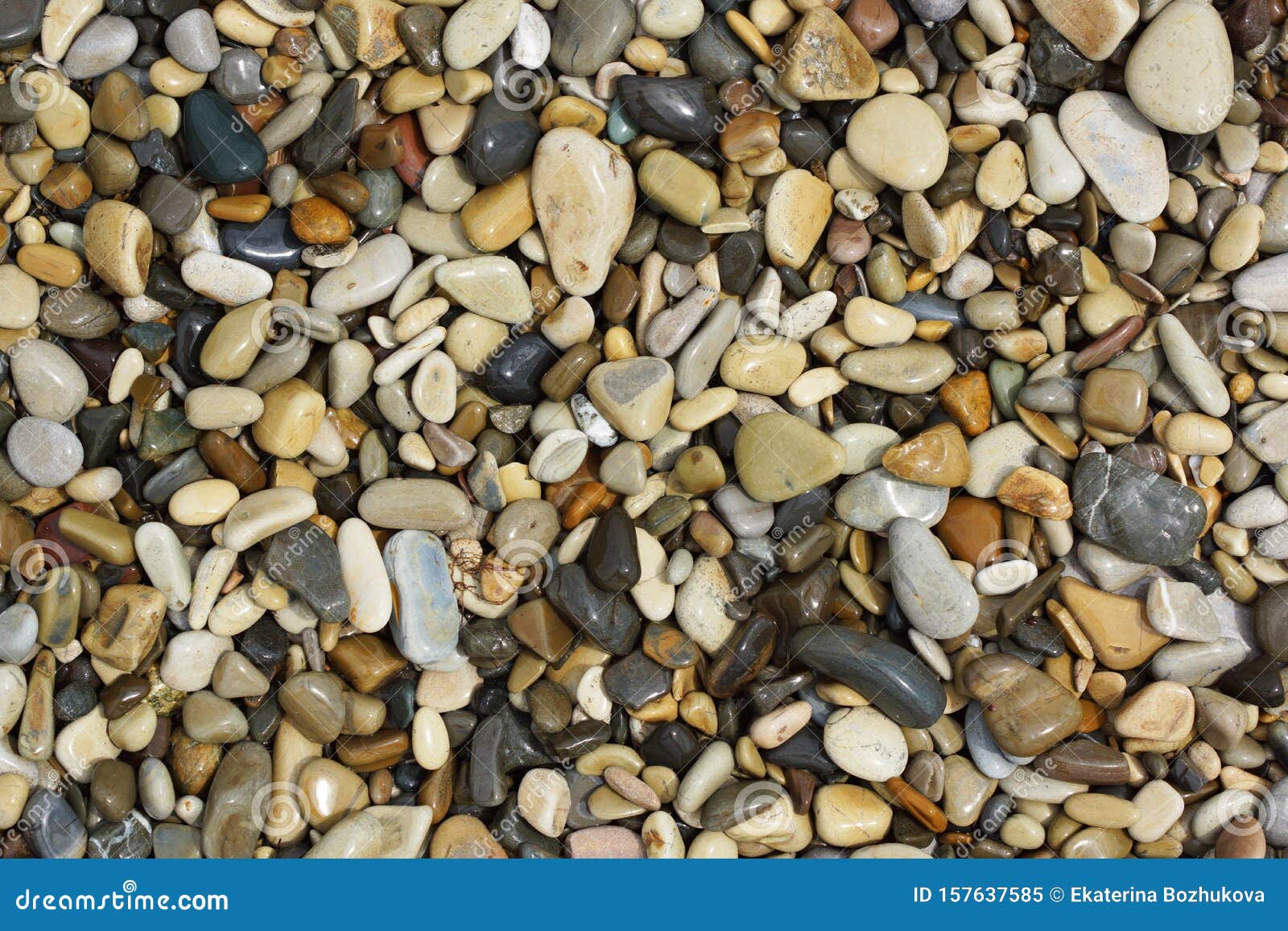 Pebbles on the seashore stock image. Image of closeup - 157637585
