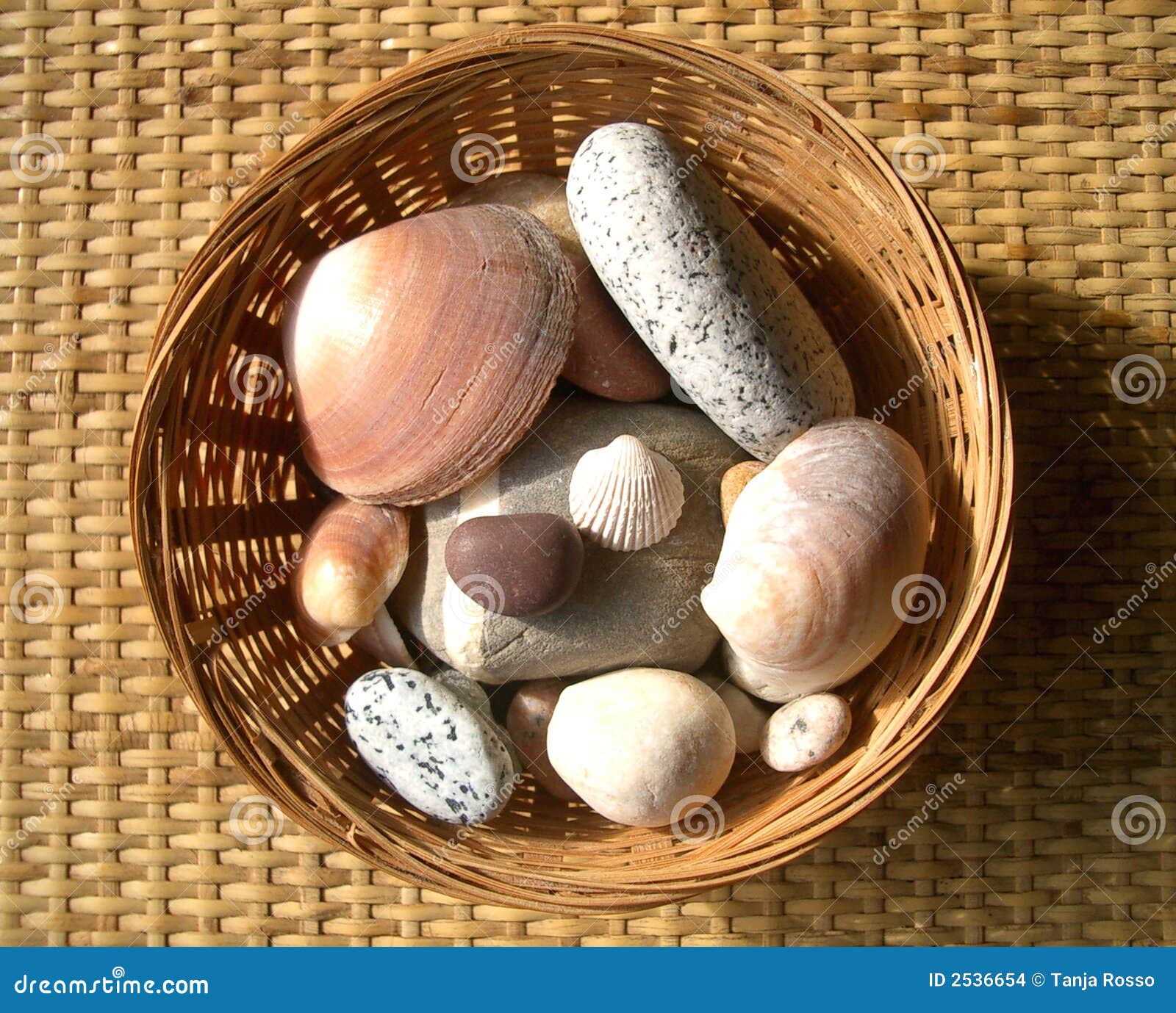 Pebbles And Shells Picture. Image: 2536654