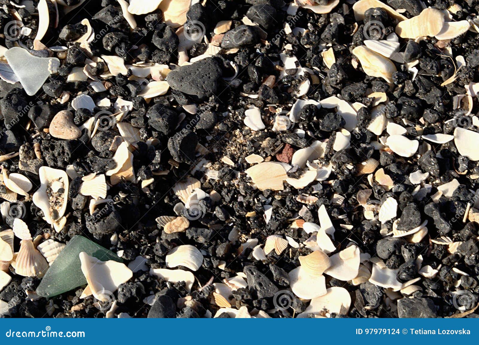 Pebbles, Shells and Small Debris Mixed with Sand Stock Photo - Image of ...