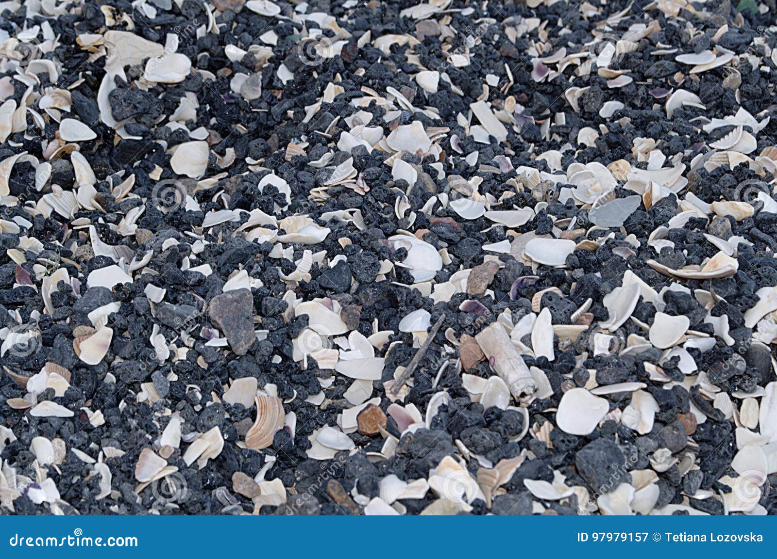 Pebbles, Shells and Small Debris Mixed with Sand Stock Image - Image of ...