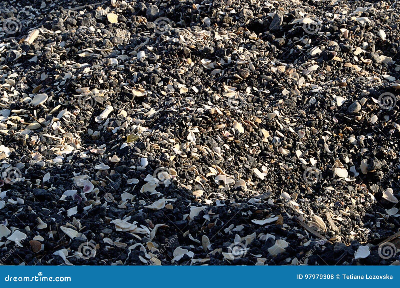 Pebbles, Shells and Small Debris Mixed with Sand Stock Photo - Image of ...