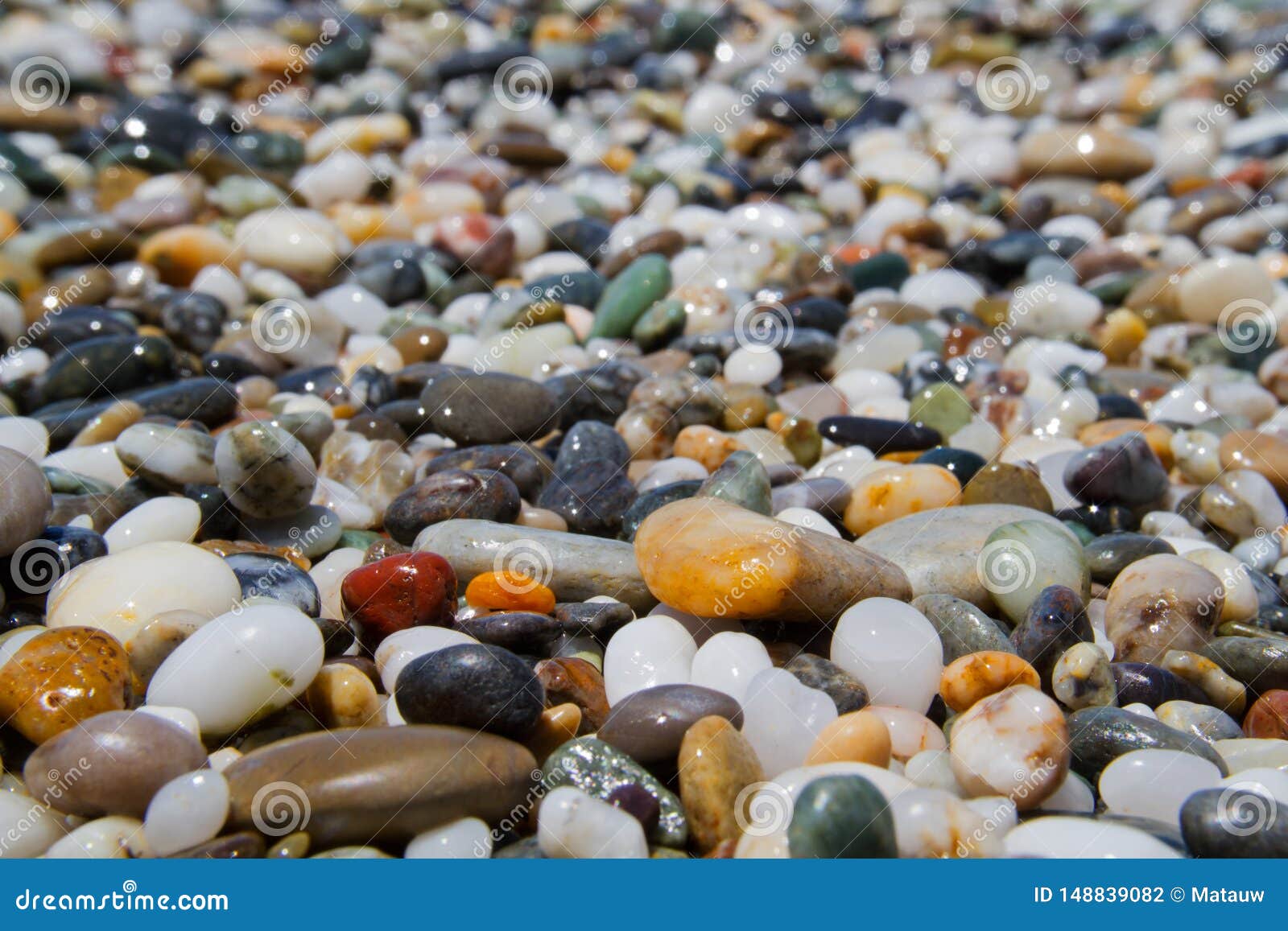 Pebbles on a shingle beach stock photo. Image of seashore - 148839082
