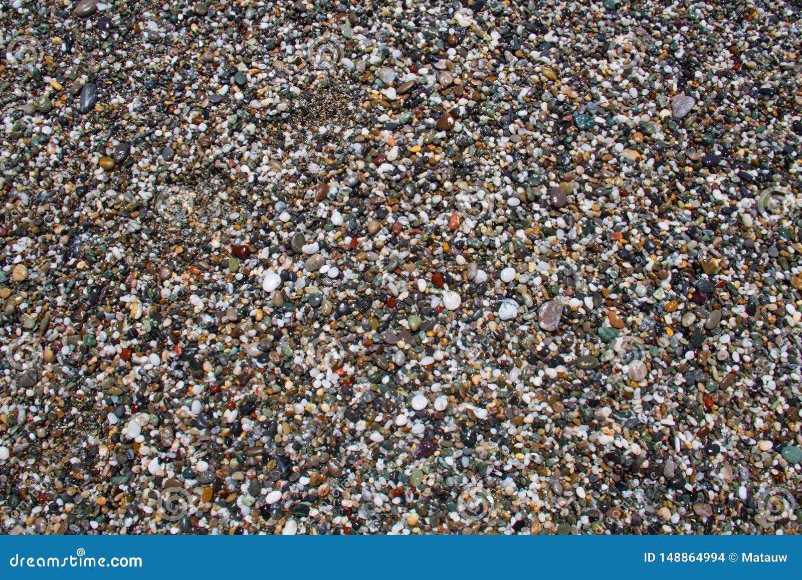 Pebbles on a shingle beach stock photo. Image of gravel - 148864994