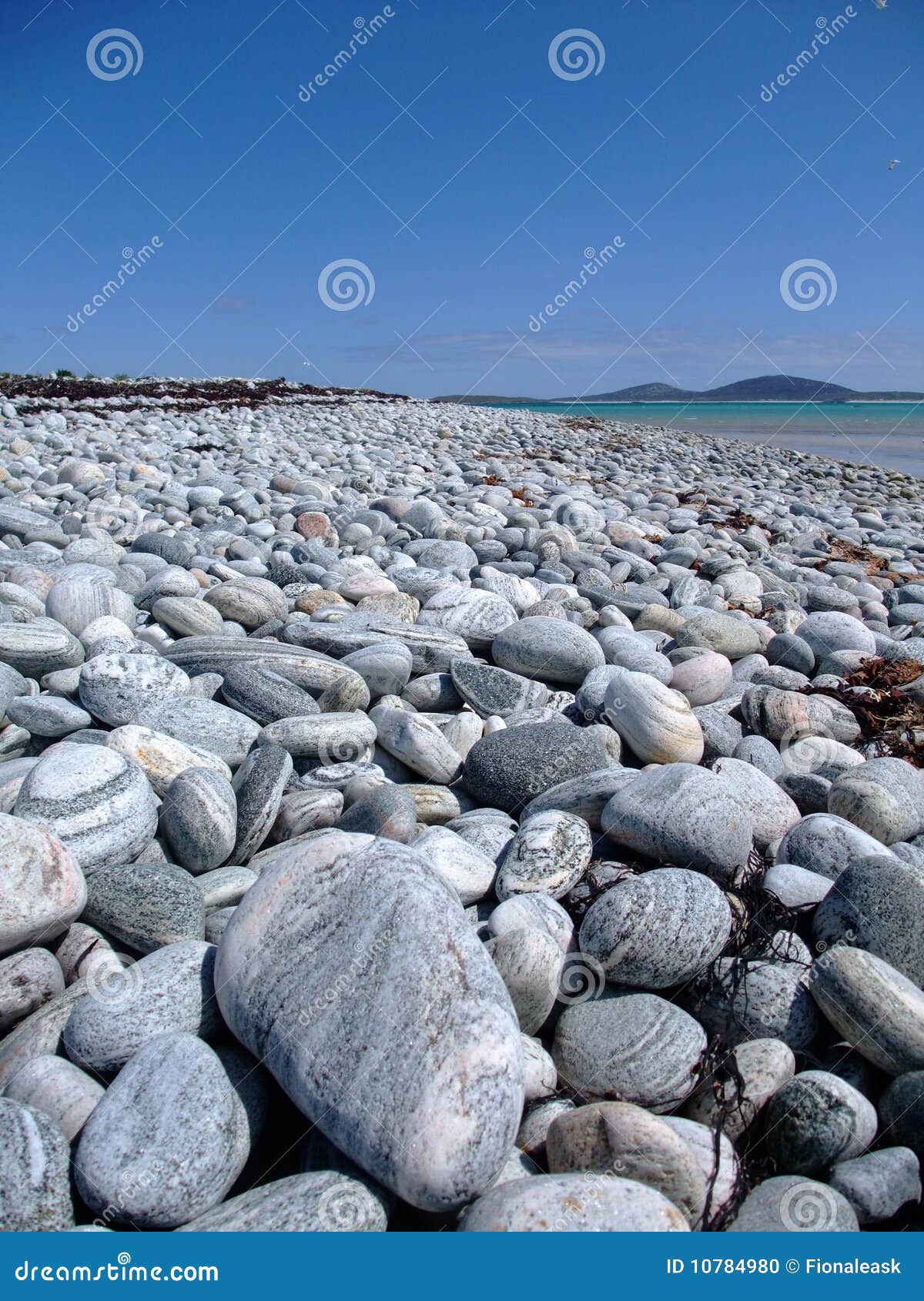 Pebbles by the shore stock photo. Image of rocks, north - 10784980