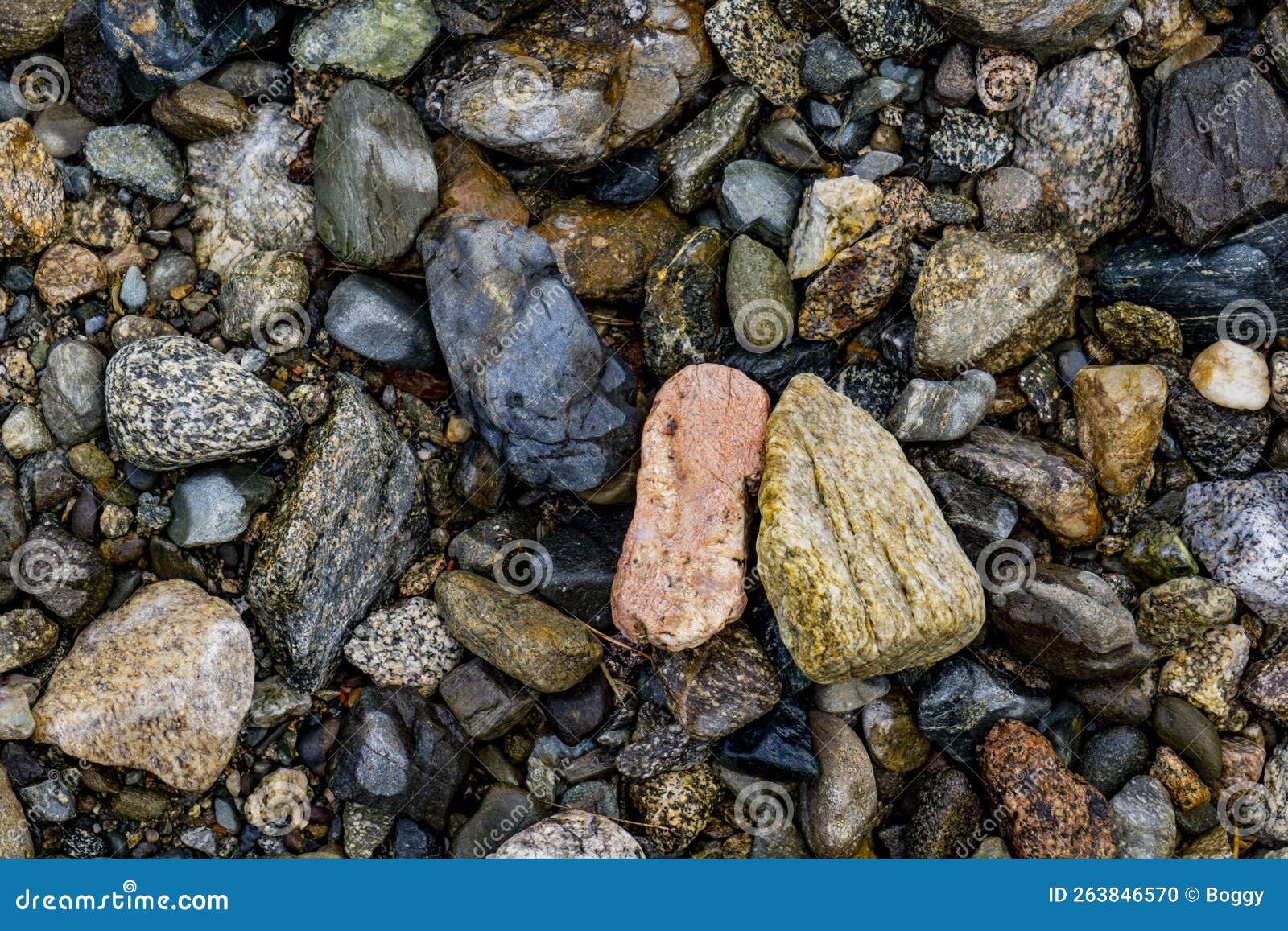 Pebbles on the shore stock photo. Image of backgrounds - 263846570