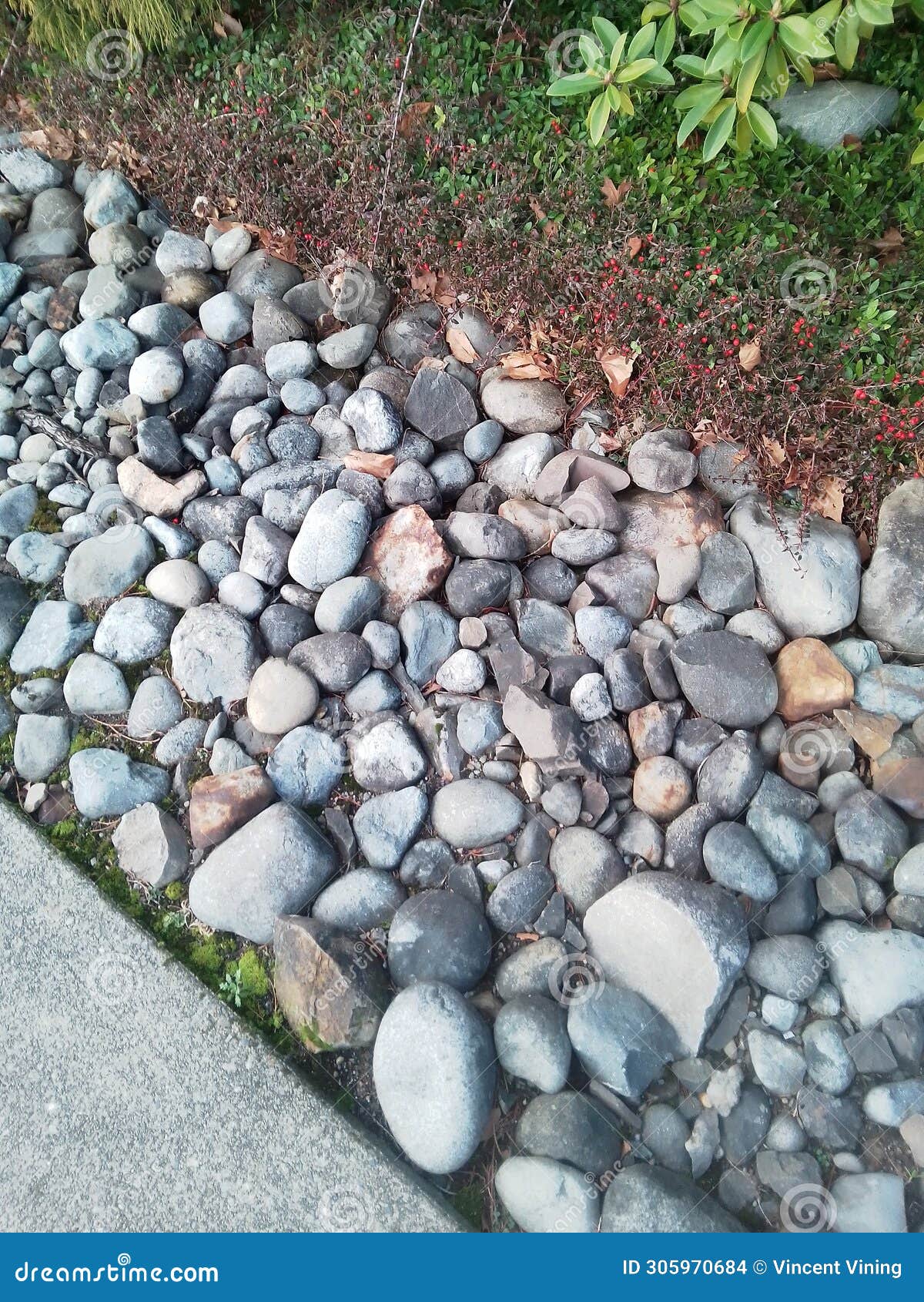 Pebbles stock photo. Image of path, grey, pebbles, color - 305970684