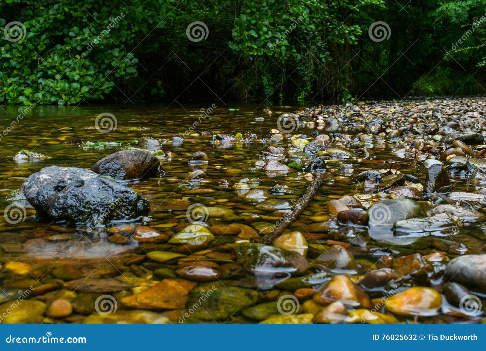 Pebbles stock photo. Image of water, colourful, lake - 76025632