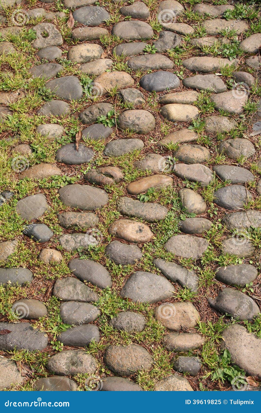 Pebbles stone road stock image. Image of oriental, green - 39619825