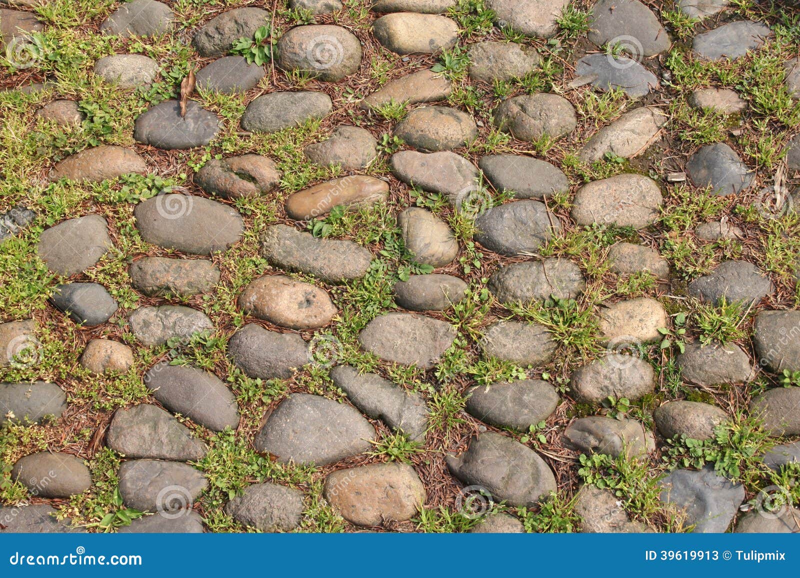 Pebbles stone road stock image. Image of sidewalk, pedestrain - 39619913