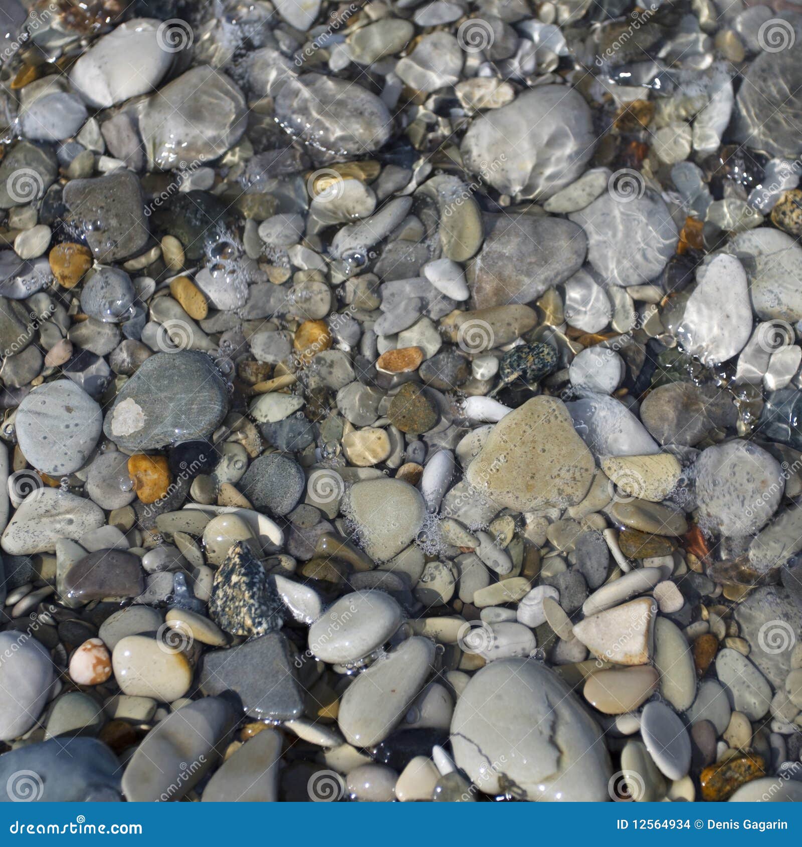 Pebbles and Stone in the Sea Water Stock Photo - Image of color, grey ...