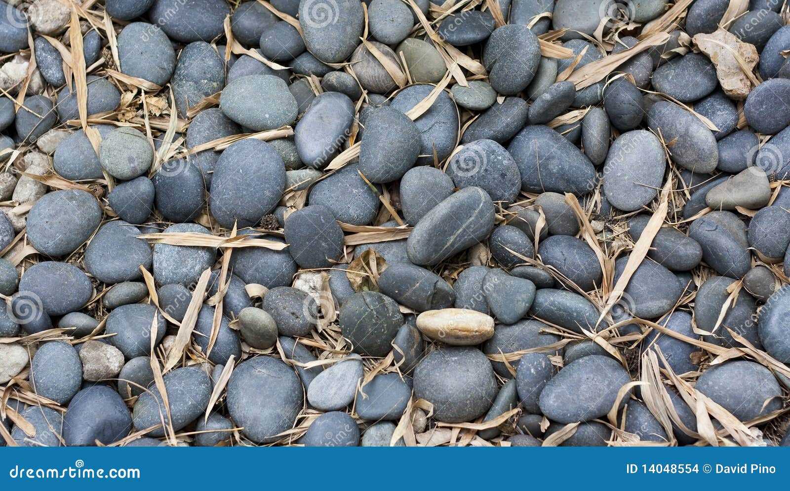Pebbles and stones stock photo. Image of texture, geology - 14048554