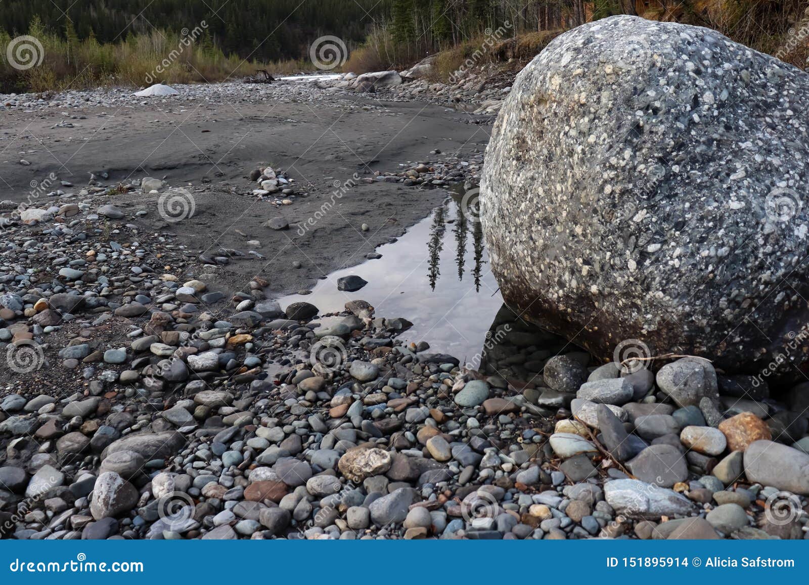 Stones on the Beach and Reflection in a Puddle Stock Photo - Image of ...