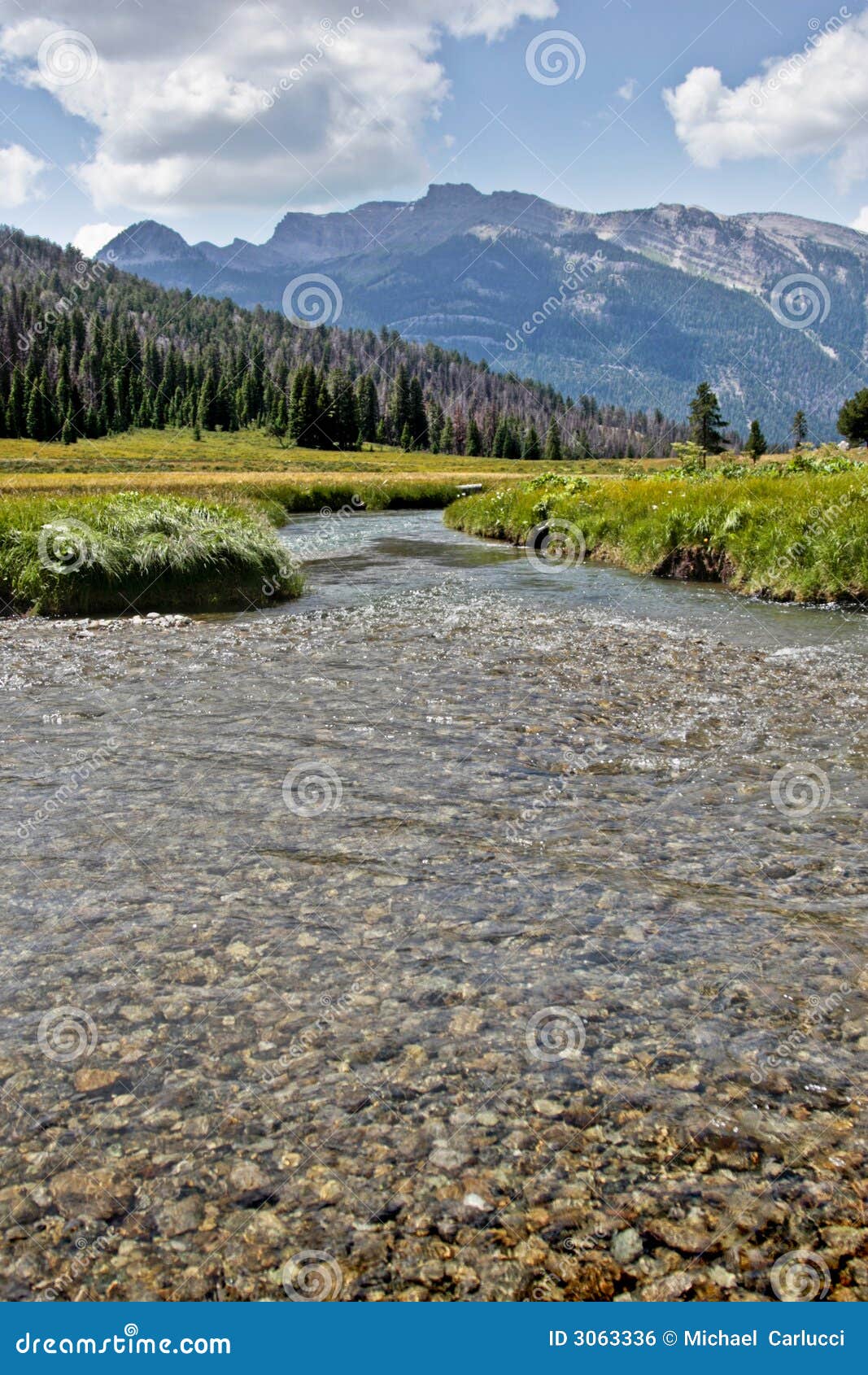 Pebbles in a stream stock photo. Image of current, bridger - 3063336